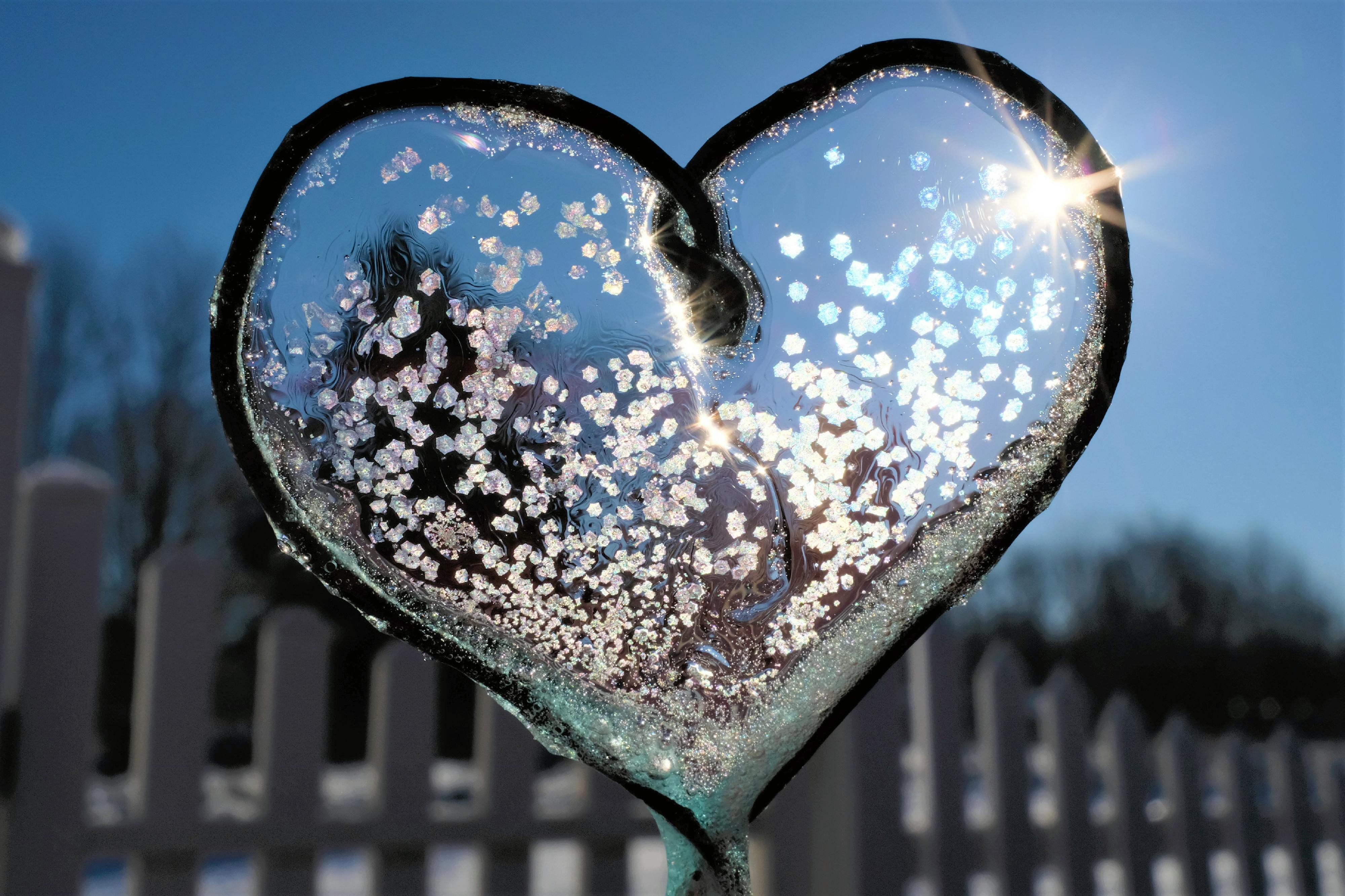 Cold Weather Photos, Download The BEST Free Cold Weather Stock Photos ...