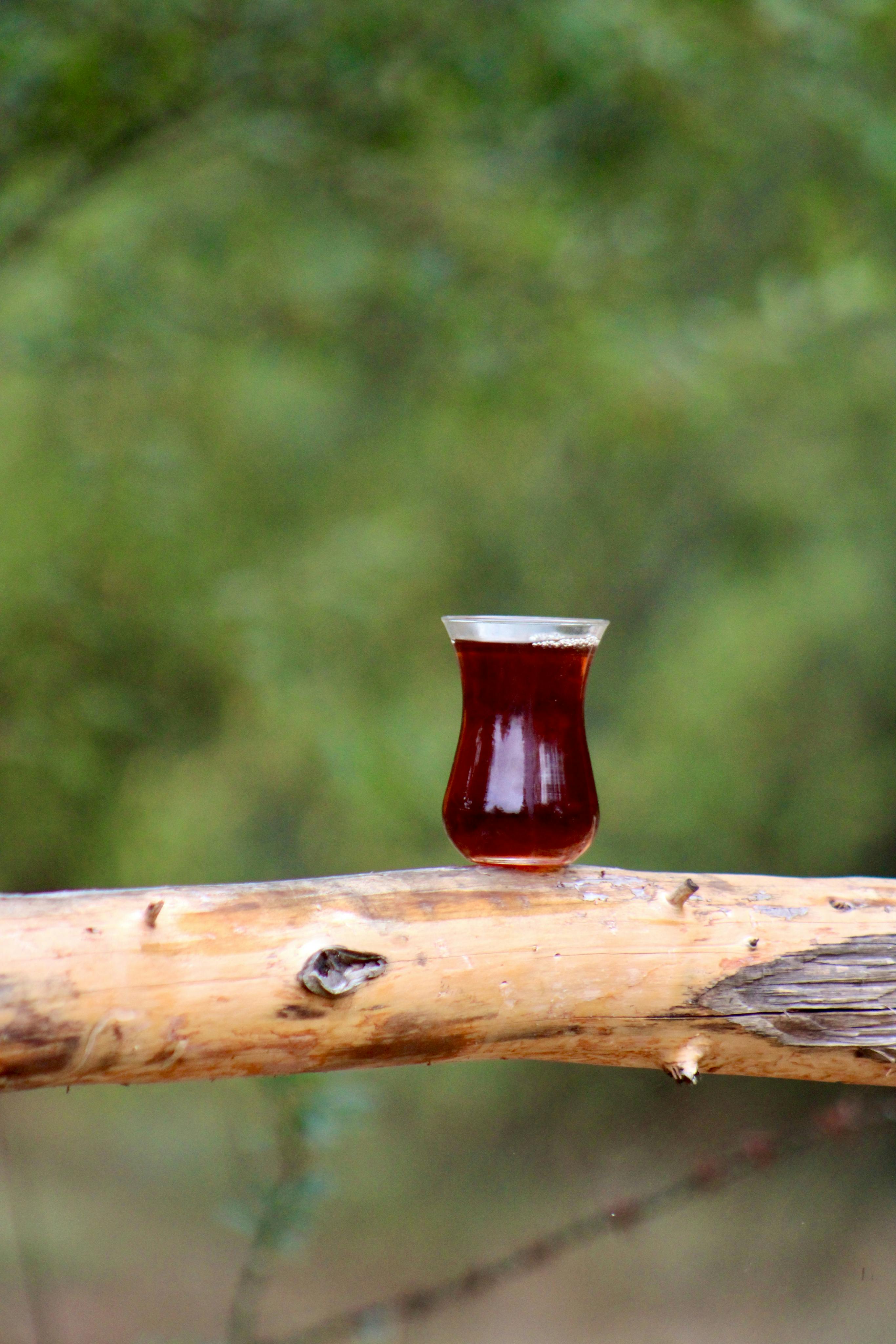 Hot+Stepmom+Gifs Photos, Download The BEST Free Hot+Stepmom+Gifs Stock ...