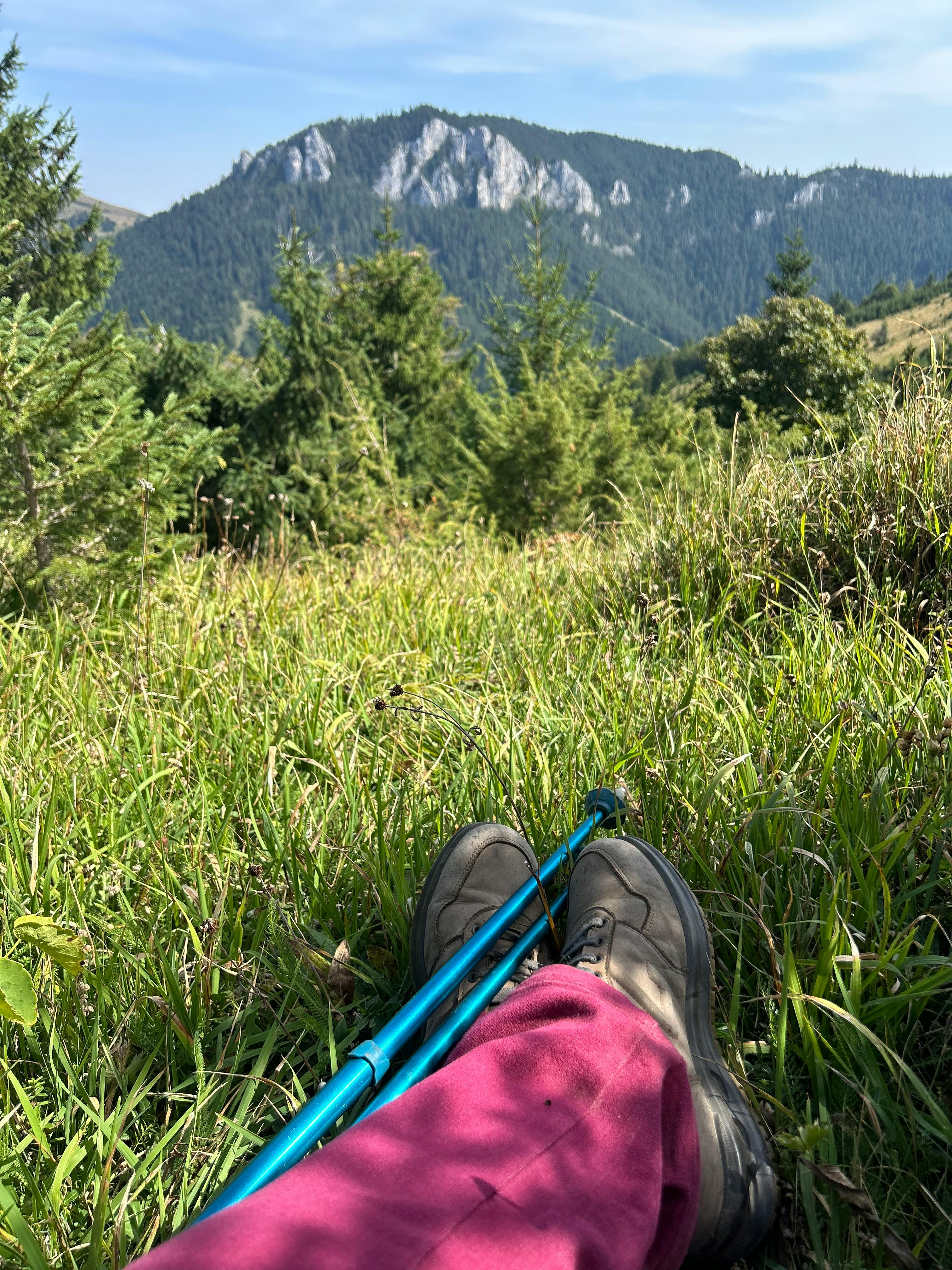 Midget+Feet Photos, Download The BEST Free Midget+Feet Stock Photos ...