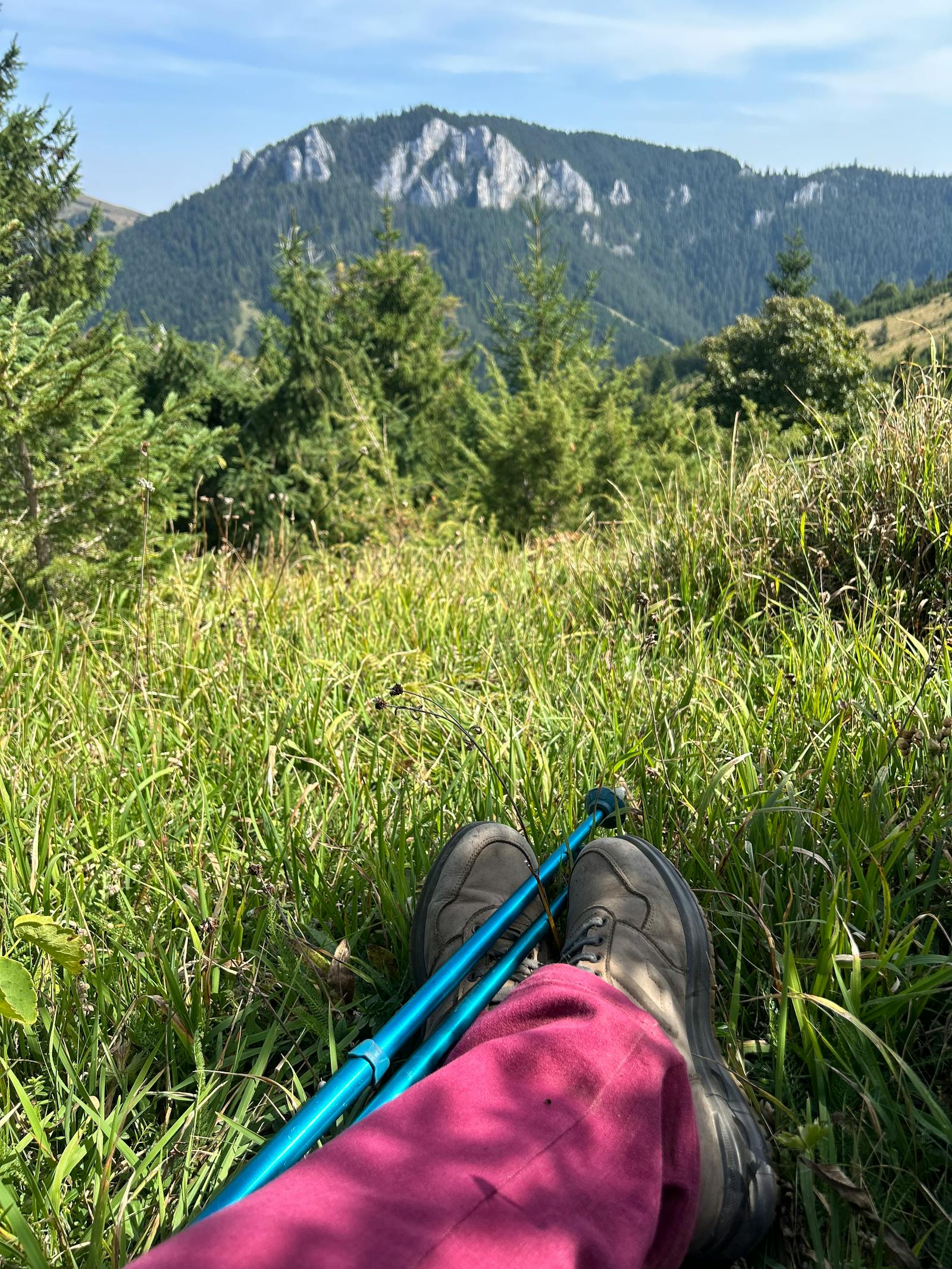 Jessica+Tarlov+Feet+And+Toes Photos, Download The BEST Free Jessica ...