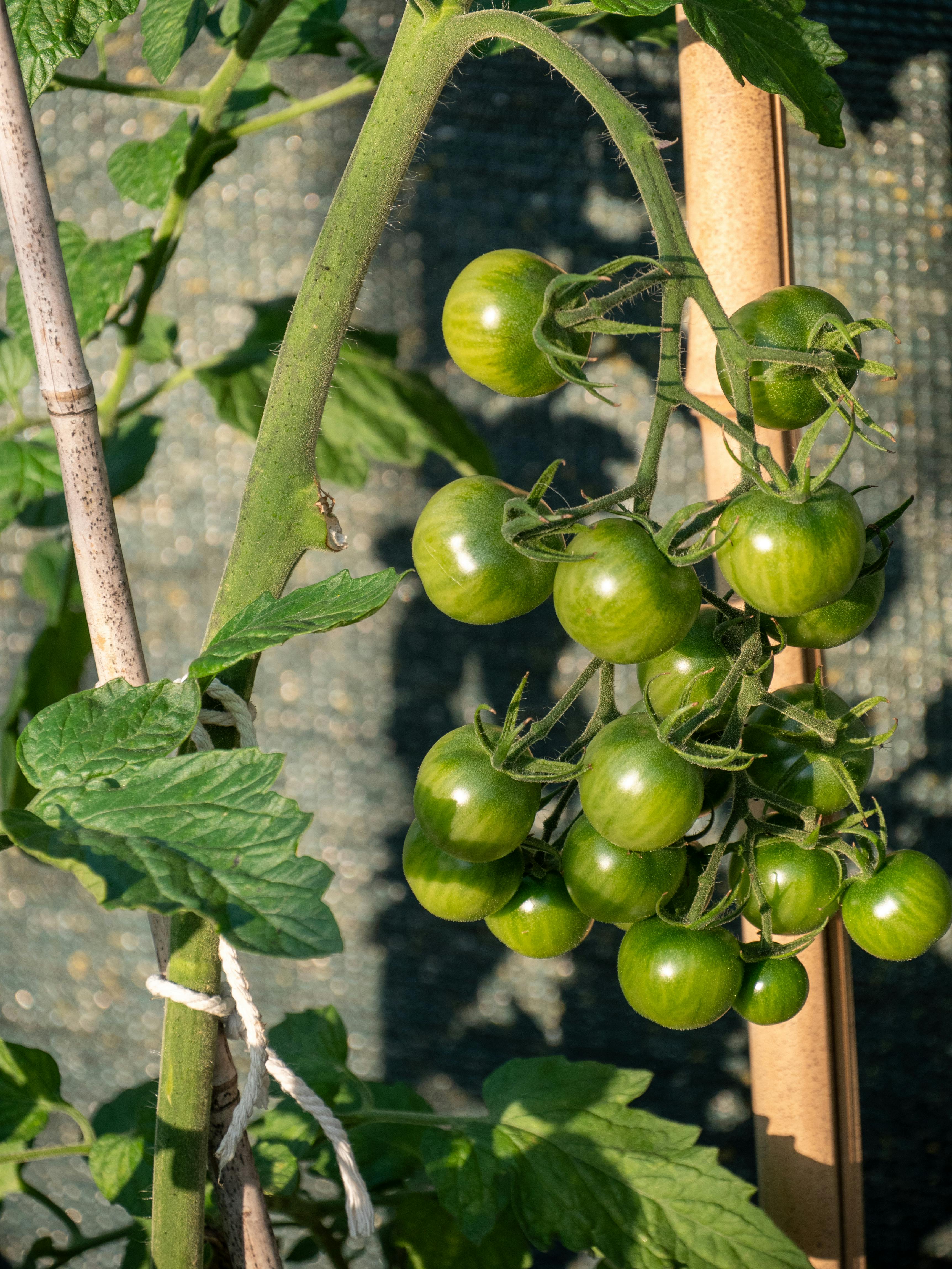 Nutrition And Health Photos, Download The BEST Free Nutrition And ...