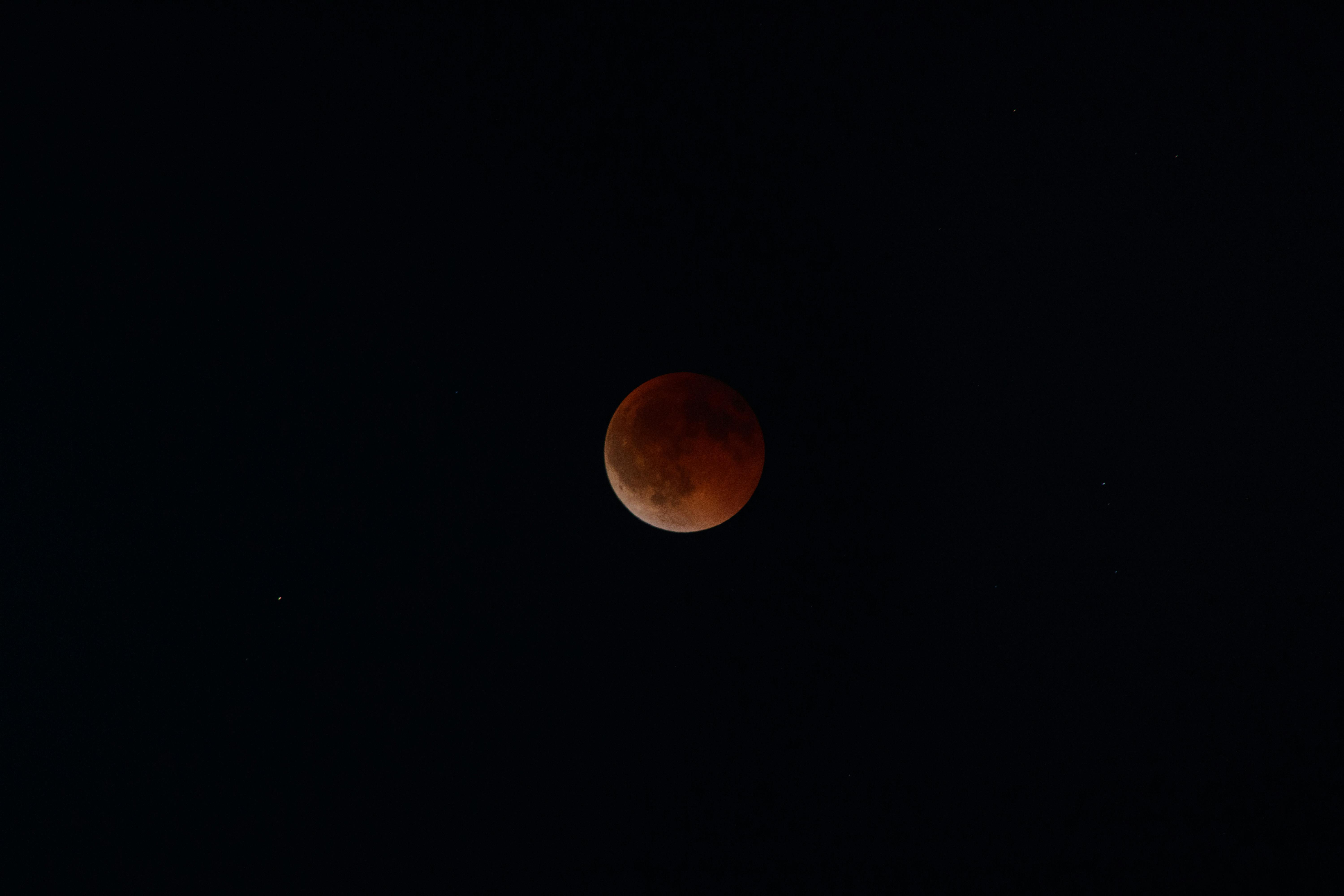 Red Moon Photos, Download The BEST Free Red Moon Stock Photos & HD Images