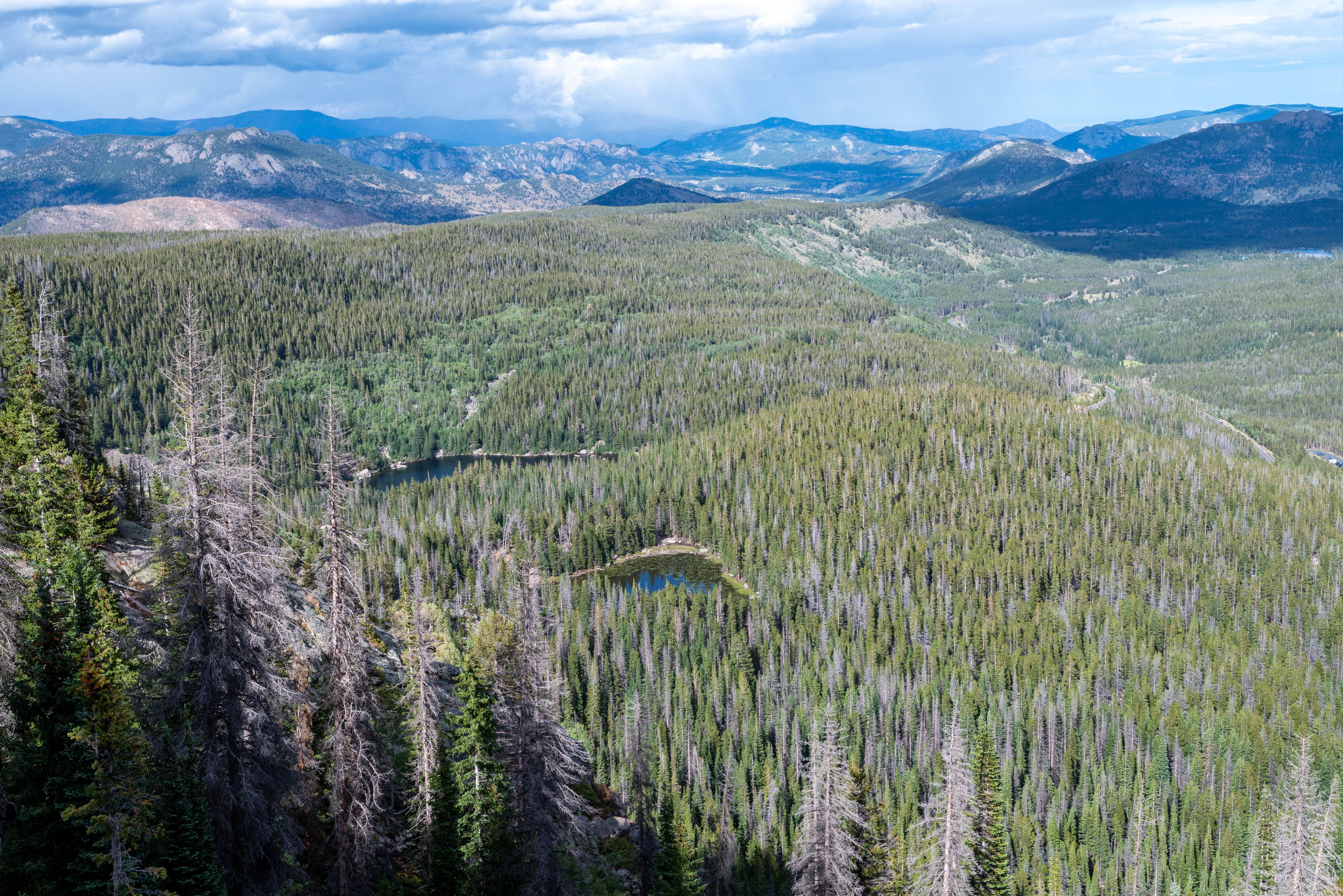 Scenic Aerial View of Forested Mountain Range · Free Stock Photo