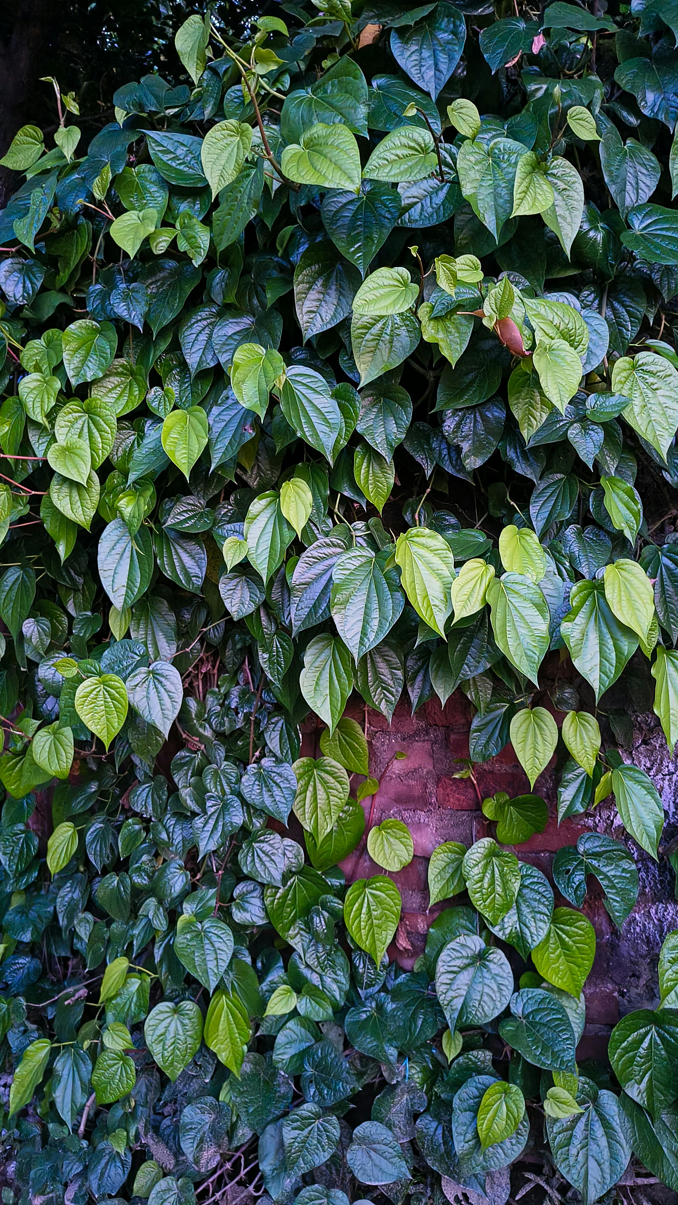 Danielle+Moss+Wallpaper Photos, Download The BEST Free Danielle+Moss ...