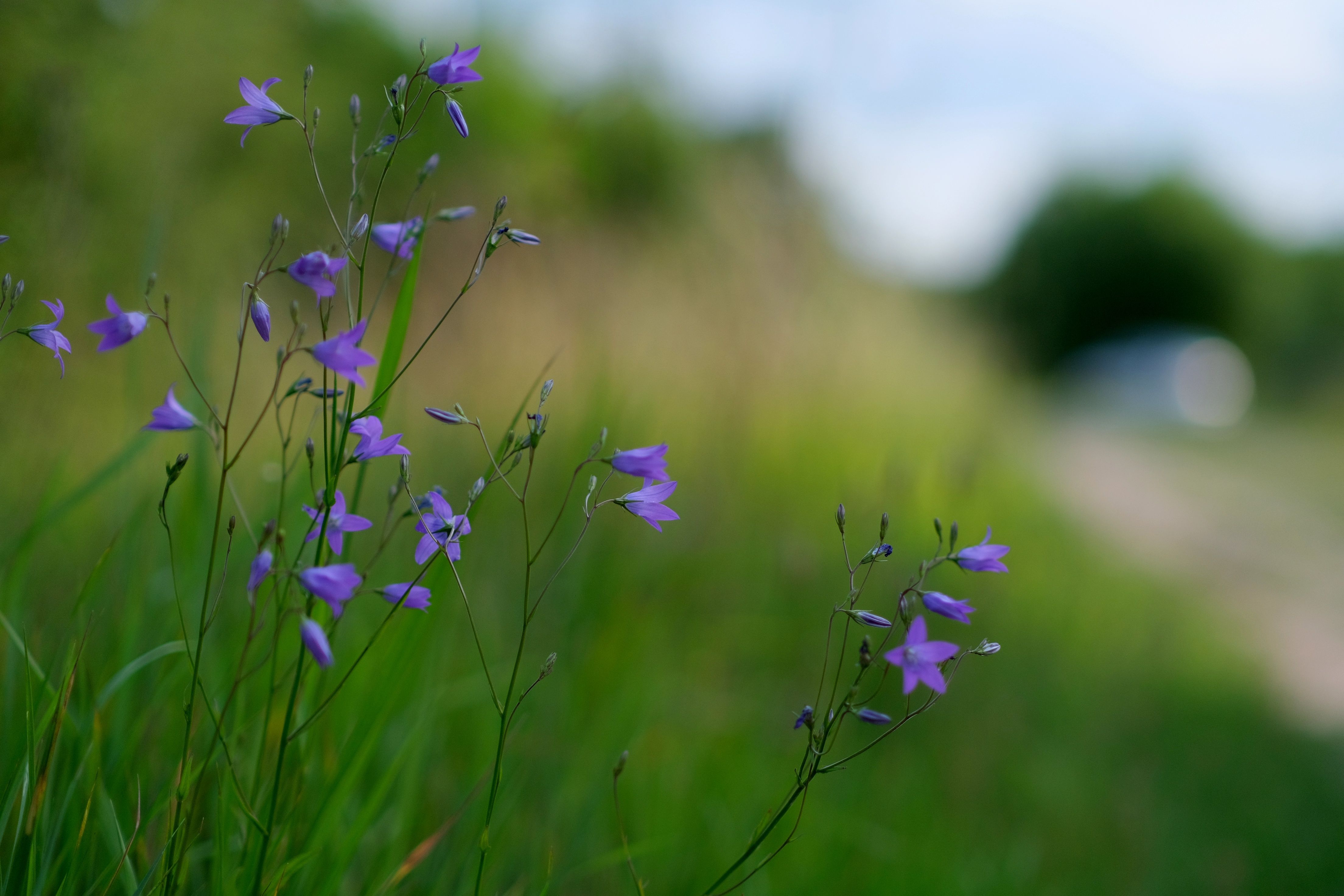 New Beginning Photos, Download The BEST Free New Beginning Stock Photos ...
