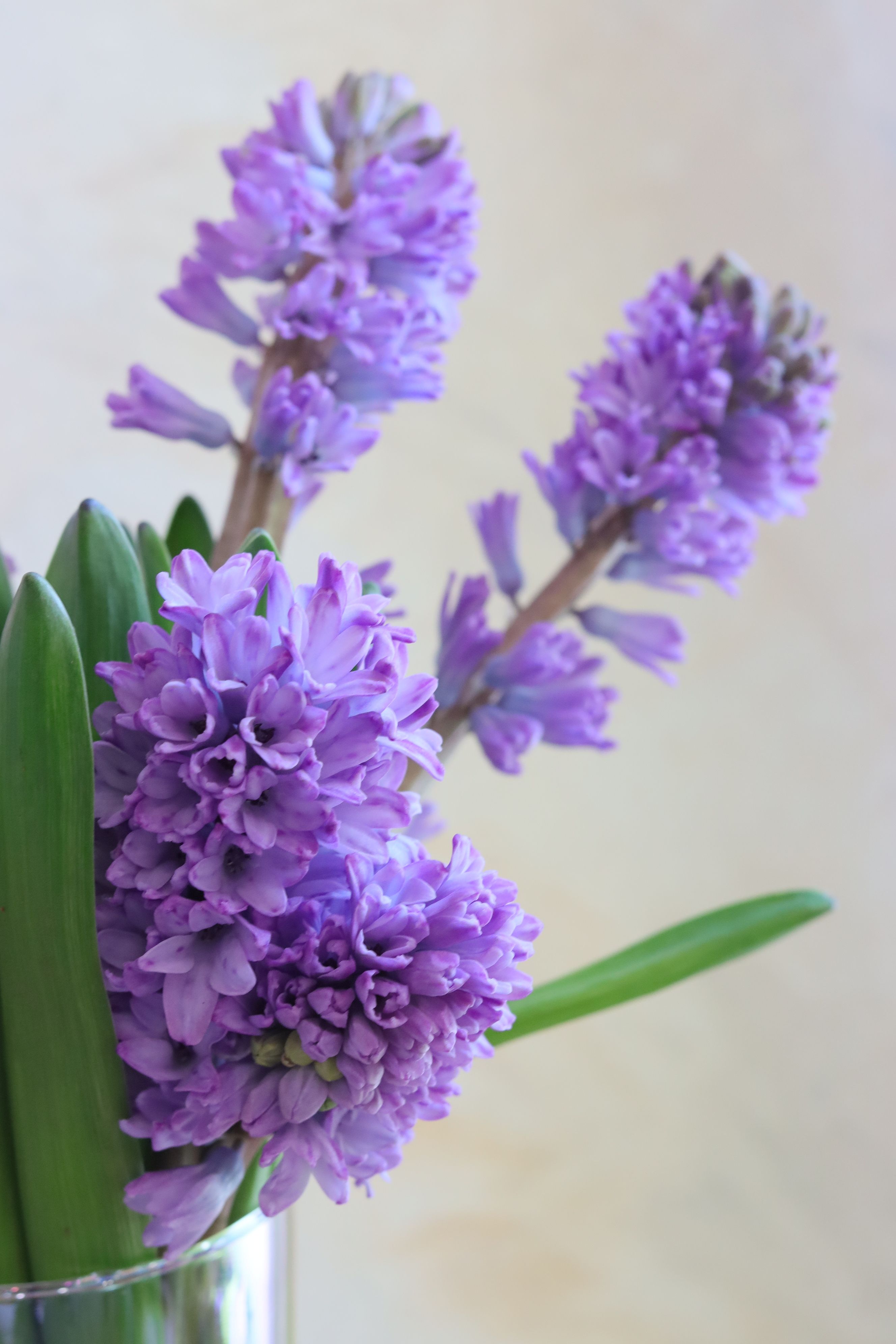 Violet Myers Photos, Download The BEST Free Violet Myers Stock Photos ...