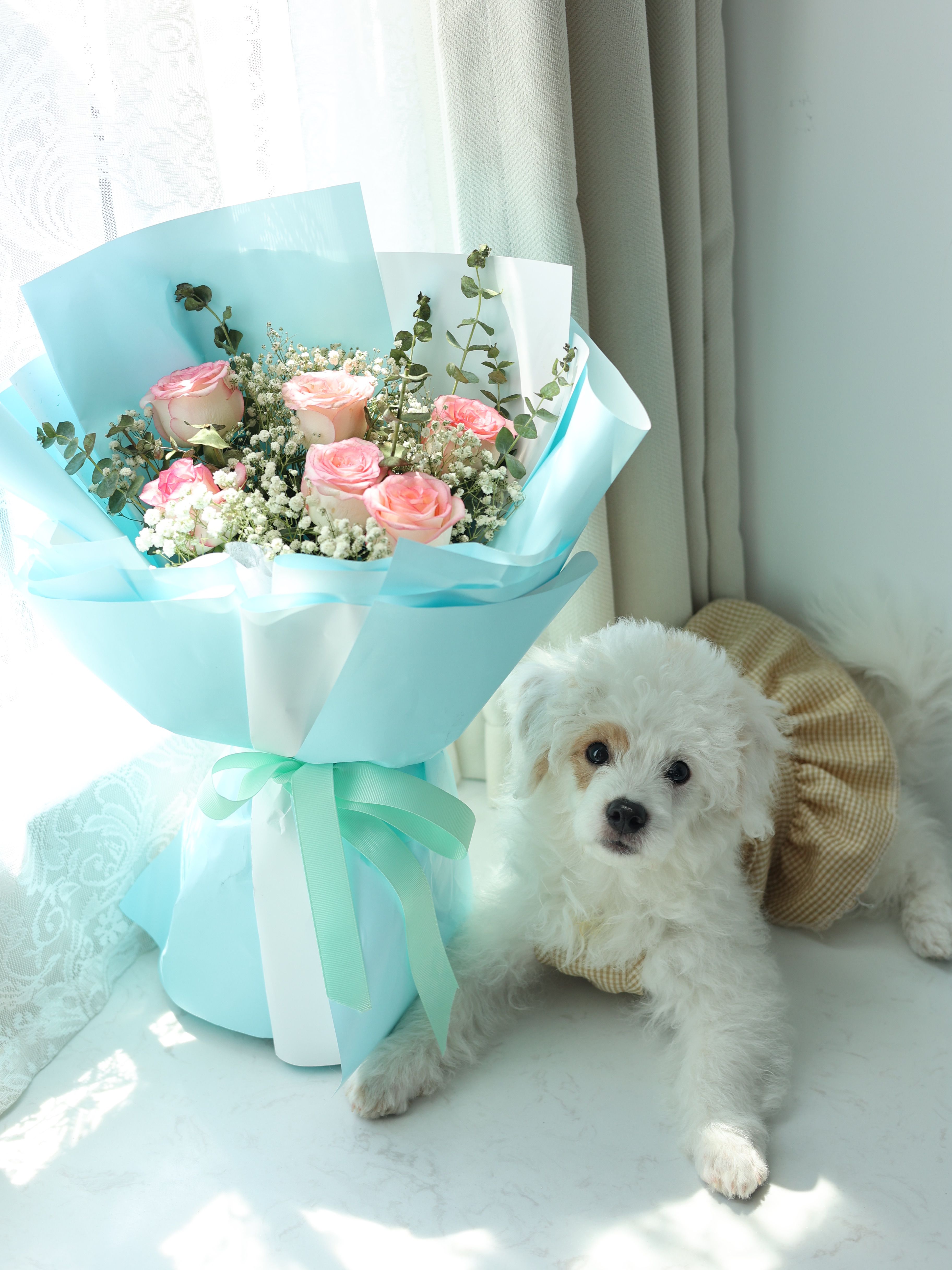 Cute Puppy Next to Elegant Floral Bouquet · Free Stock Photo