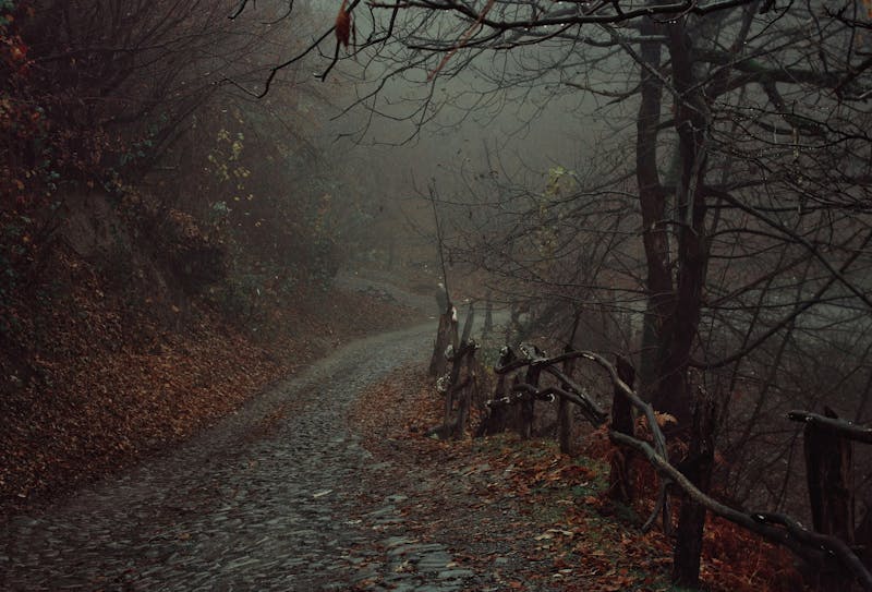 Damp+Lips. Photos, Download The BEST Free Damp+Lips. Stock Photos & HD ...