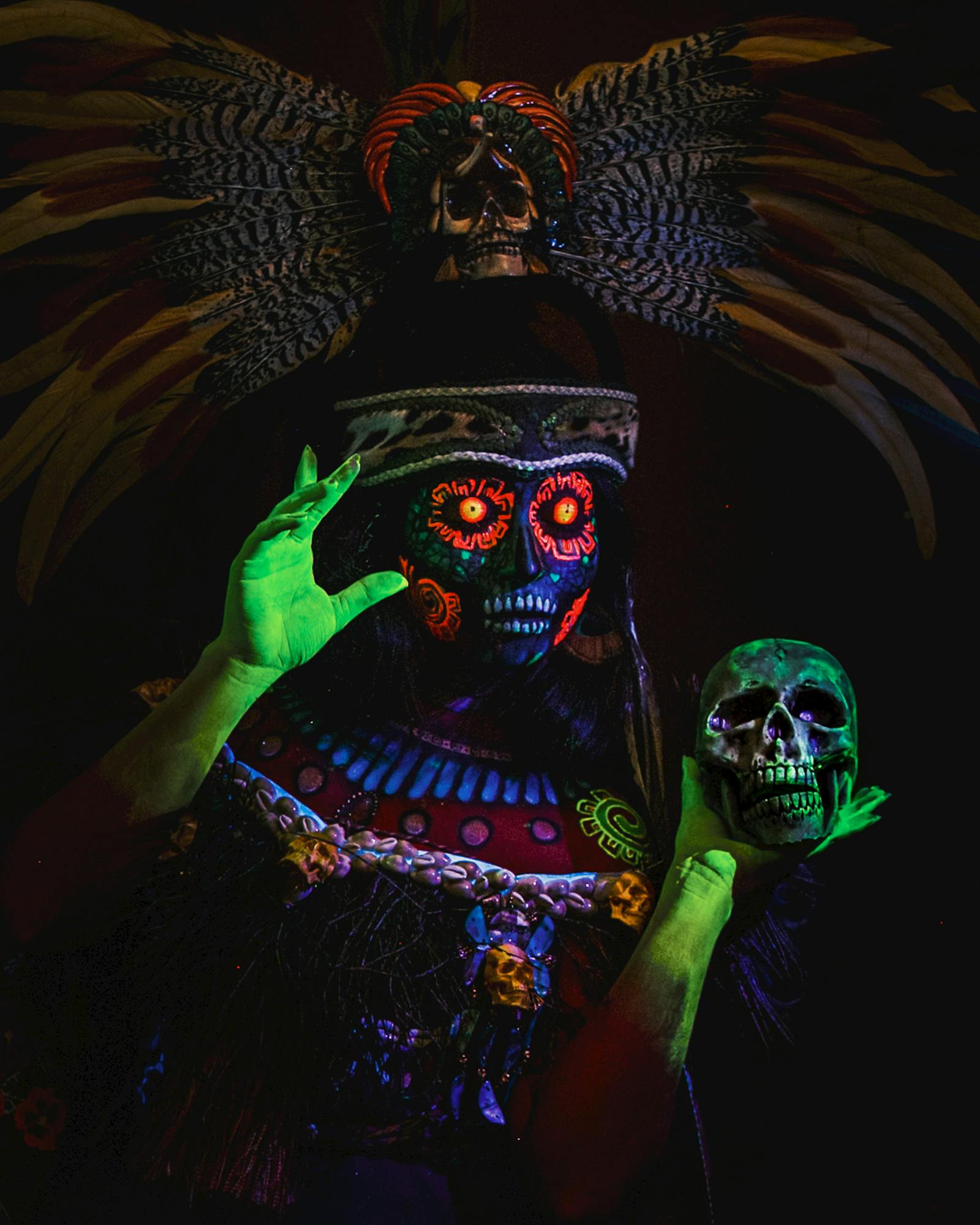 Pivot+Animator+Backgrounds Photos, Download The BEST Free Pivot ...