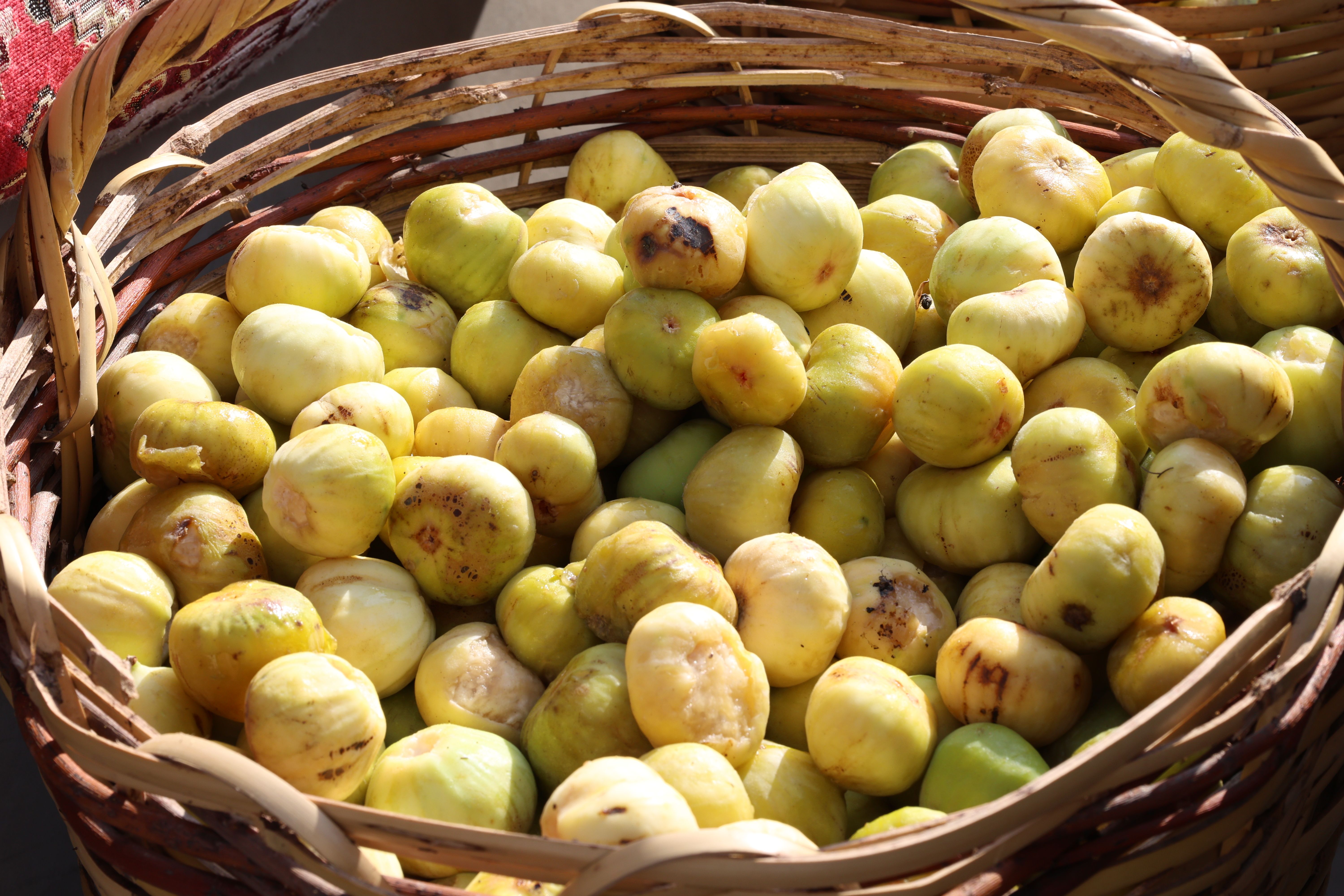 Basket Of Figs Photos, Download The BEST Free Basket Of Figs Stock ...