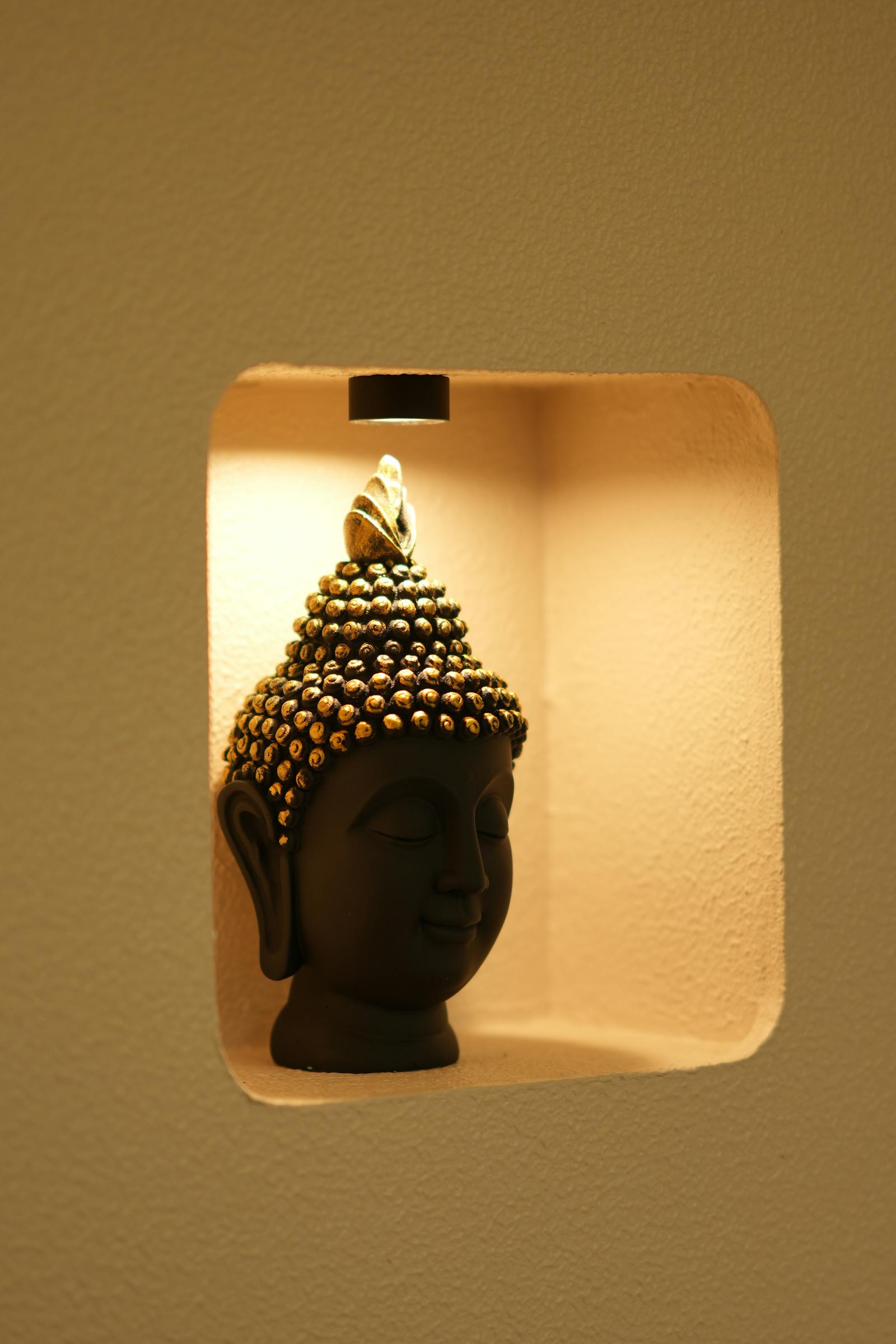 Niche Photos, Download The BEST Free Niche Stock Photos & HD Images