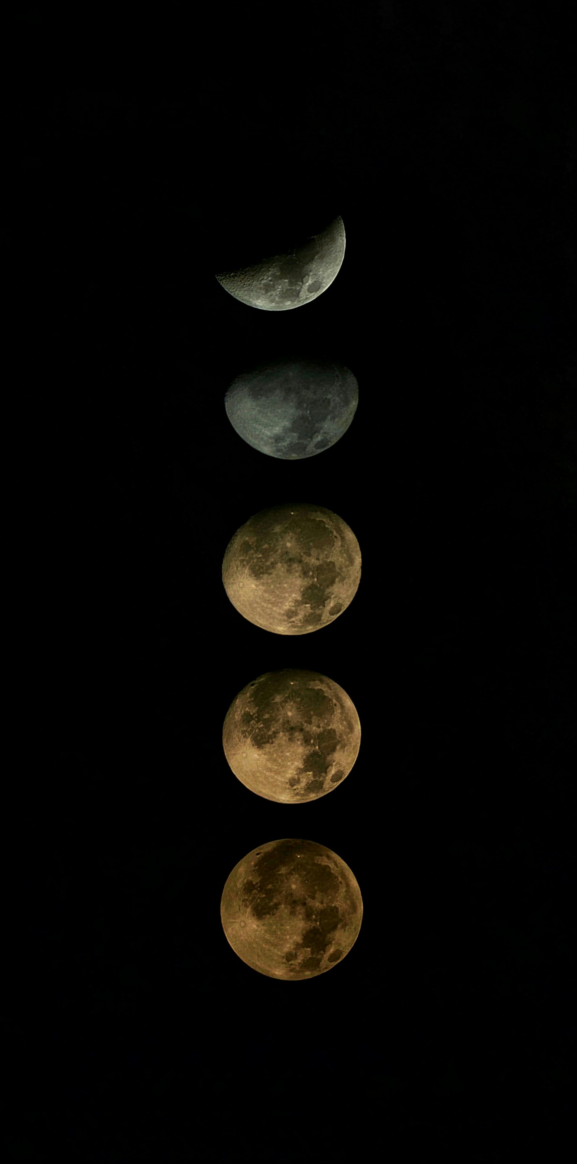 Hindi+Hd+Bf Photos, Download The BEST Free Hindi+Hd+Bf Stock Photos ...