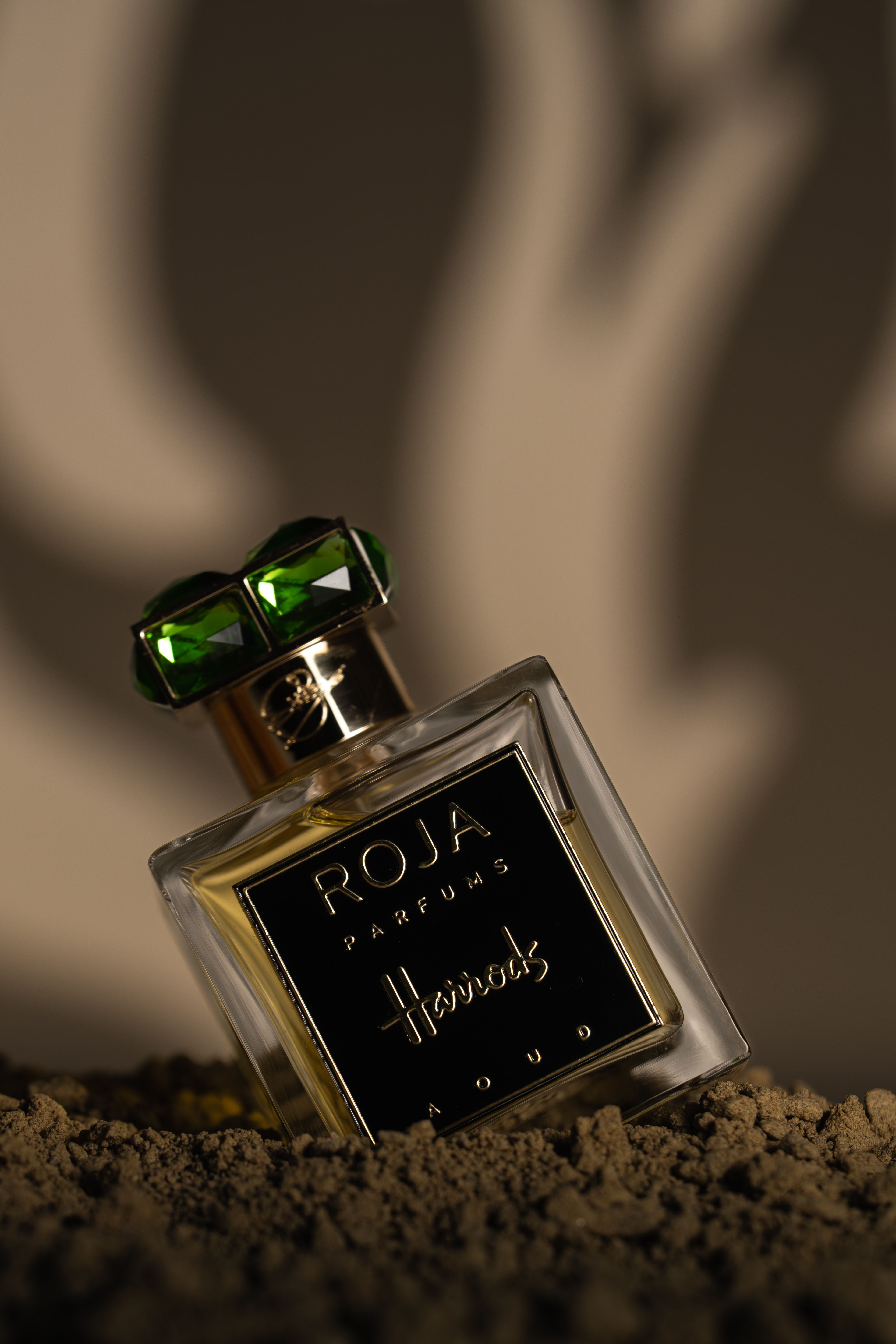 Luxury Perfume Bottle with Artistic Backdrop · Free Stock Photo