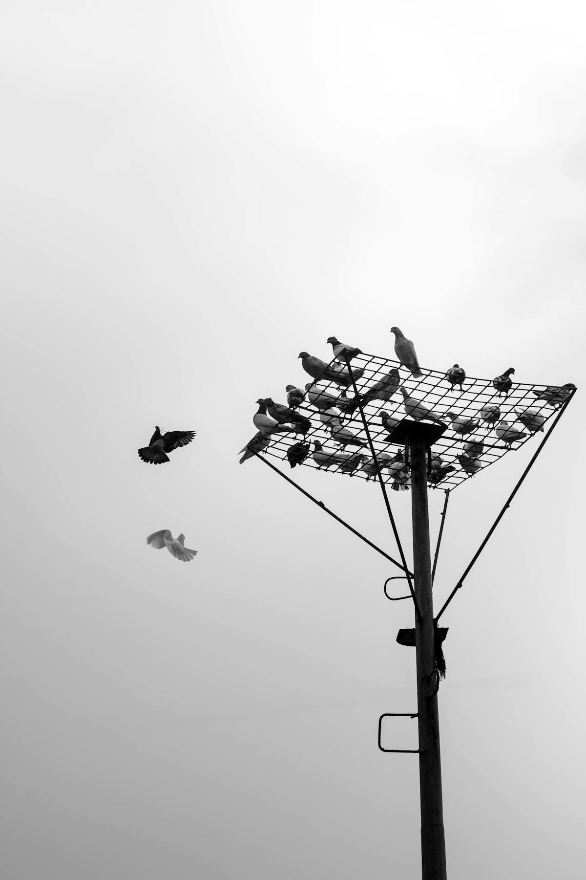 Free Pic Photos, Download The BEST Free Free Pic Stock Photos & HD Images