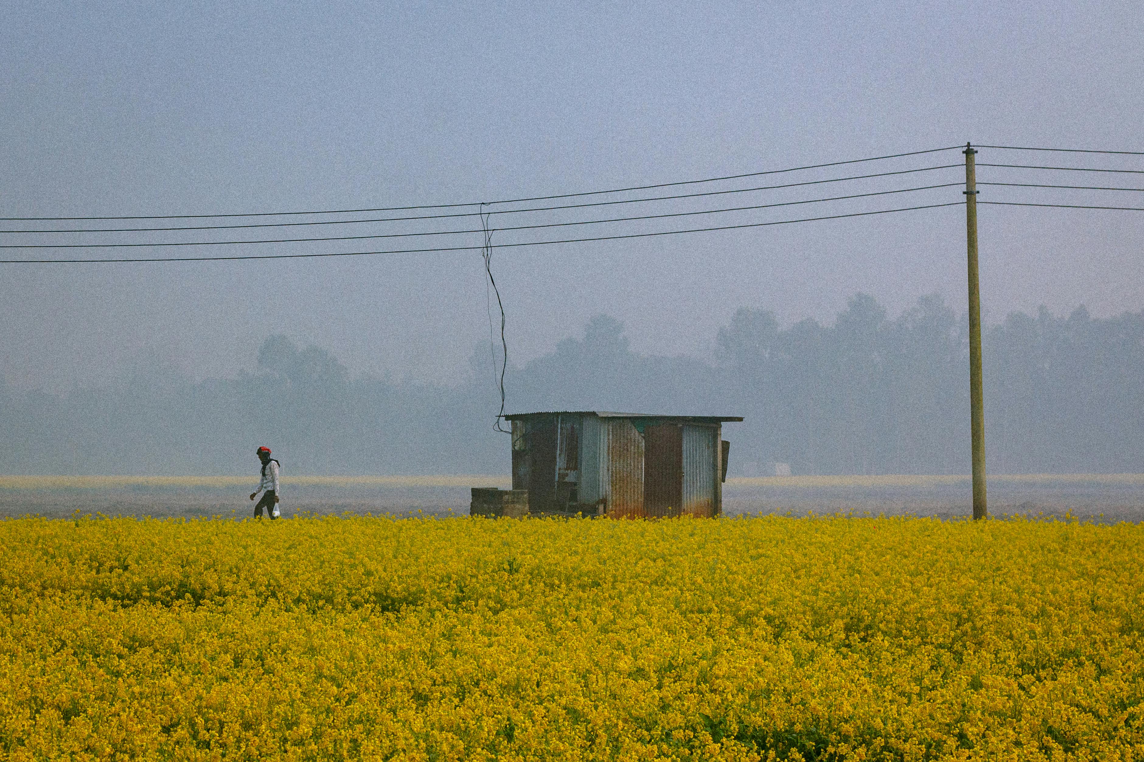 Bangladesh Nature Photos, Download The BEST Free Bangladesh Nature ...