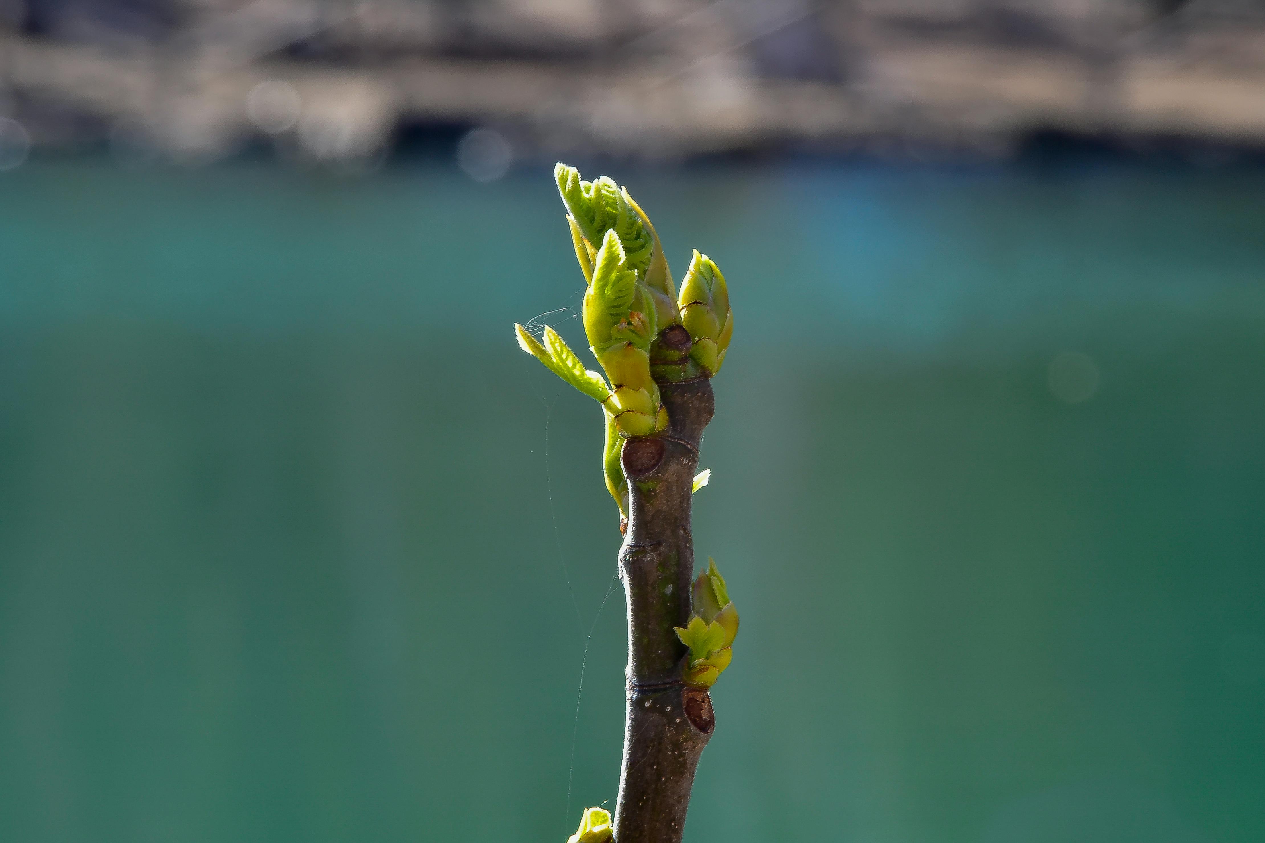 Background Without Blur Photos, Download The BEST Free Background ...