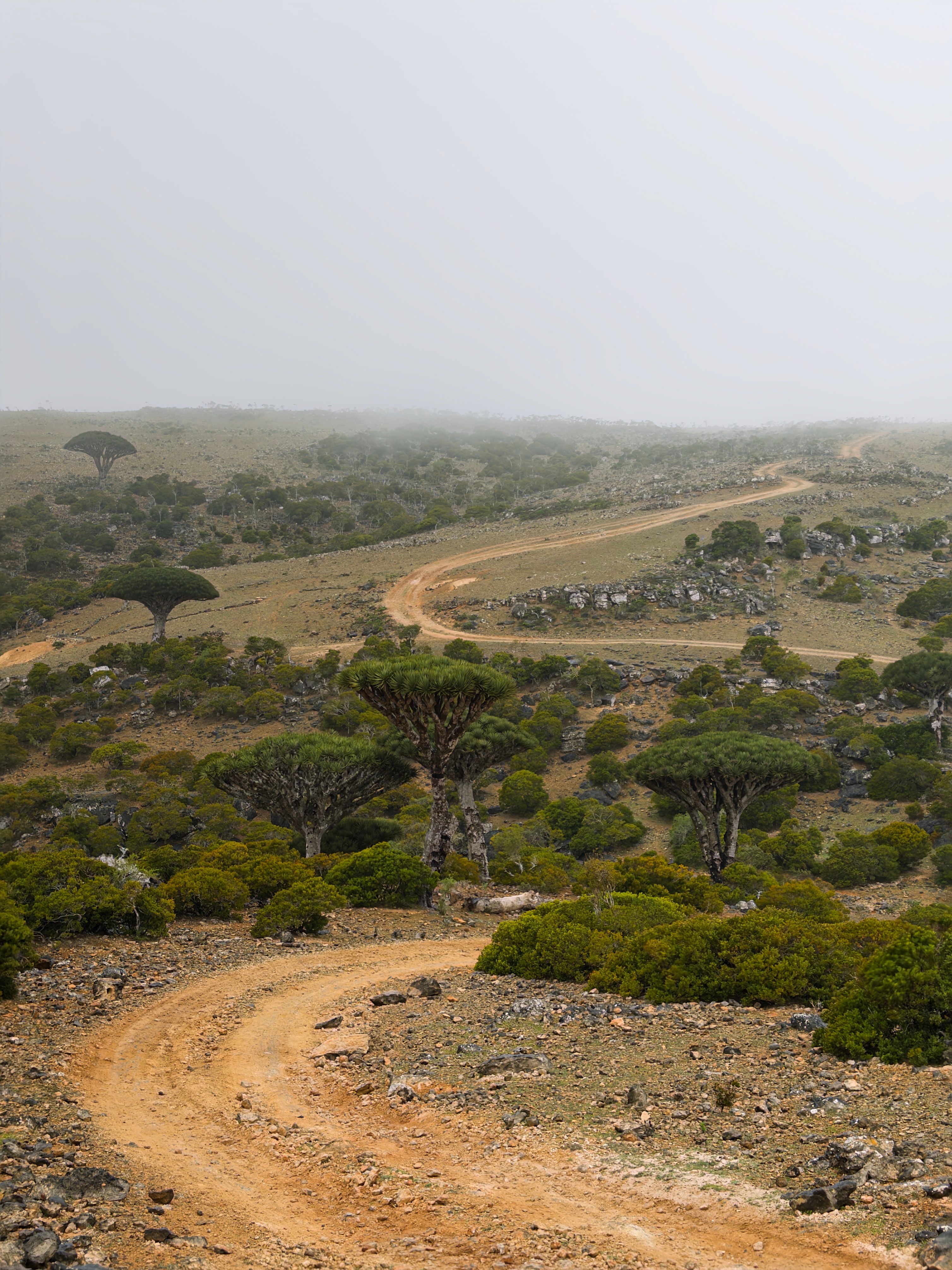 Winding Path Photos, Download The BEST Free Winding Path Stock Photos ...