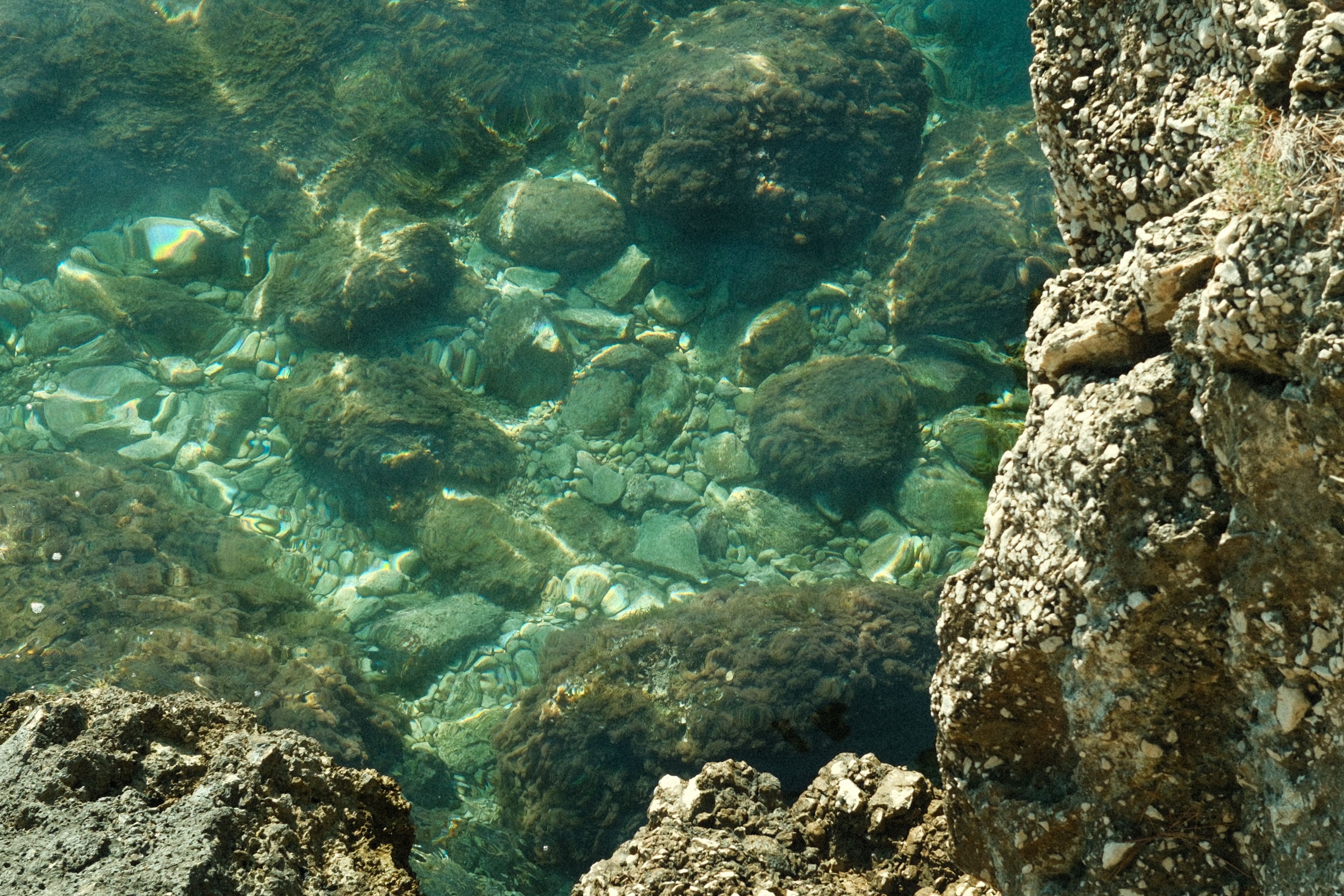 Transparent Adriatic Sea Waters in Croatia · Free Stock Photo