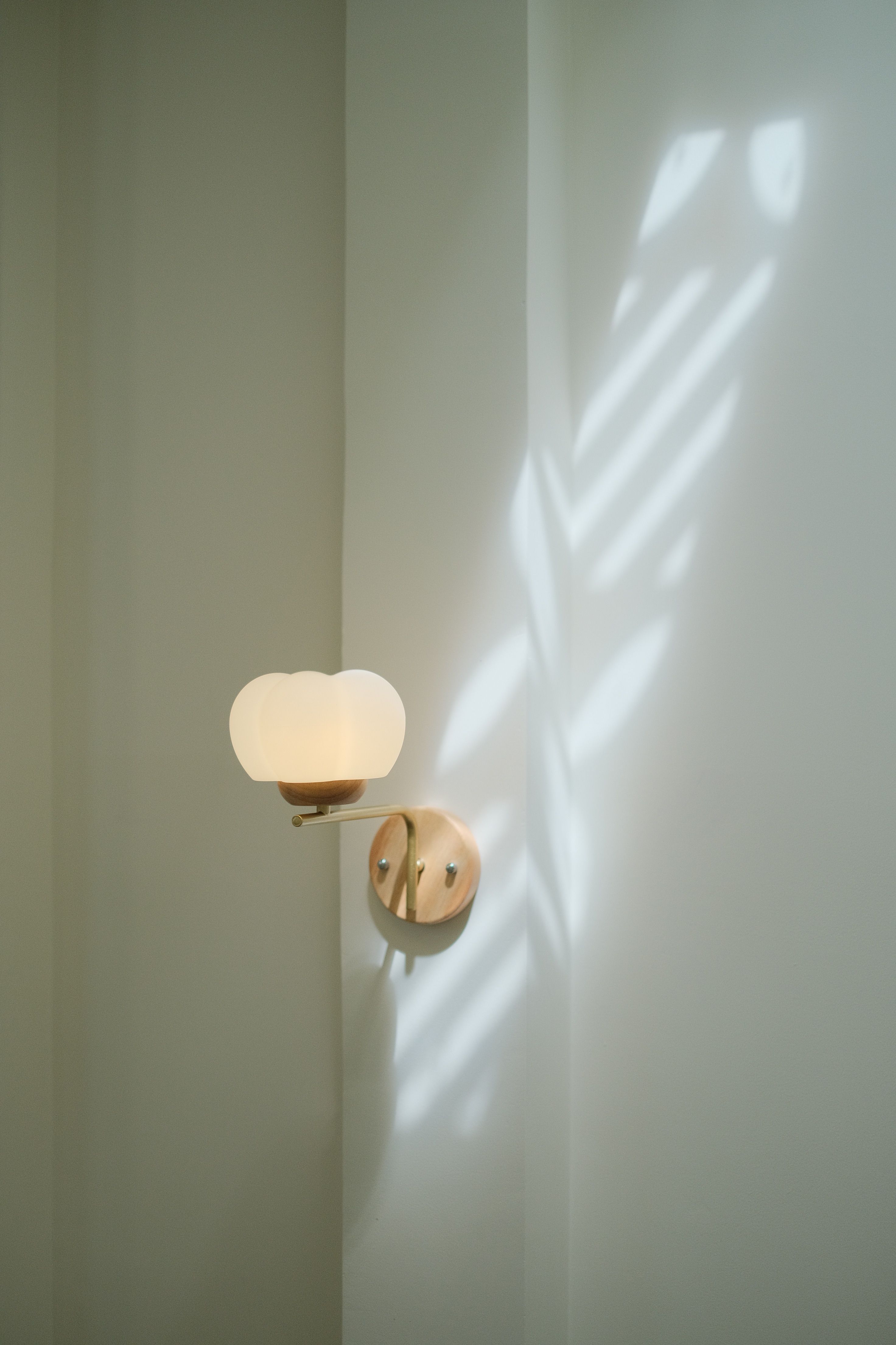 Elegant Wall Light with Soft Shadows in Minimalist Space · Free Stock Photo