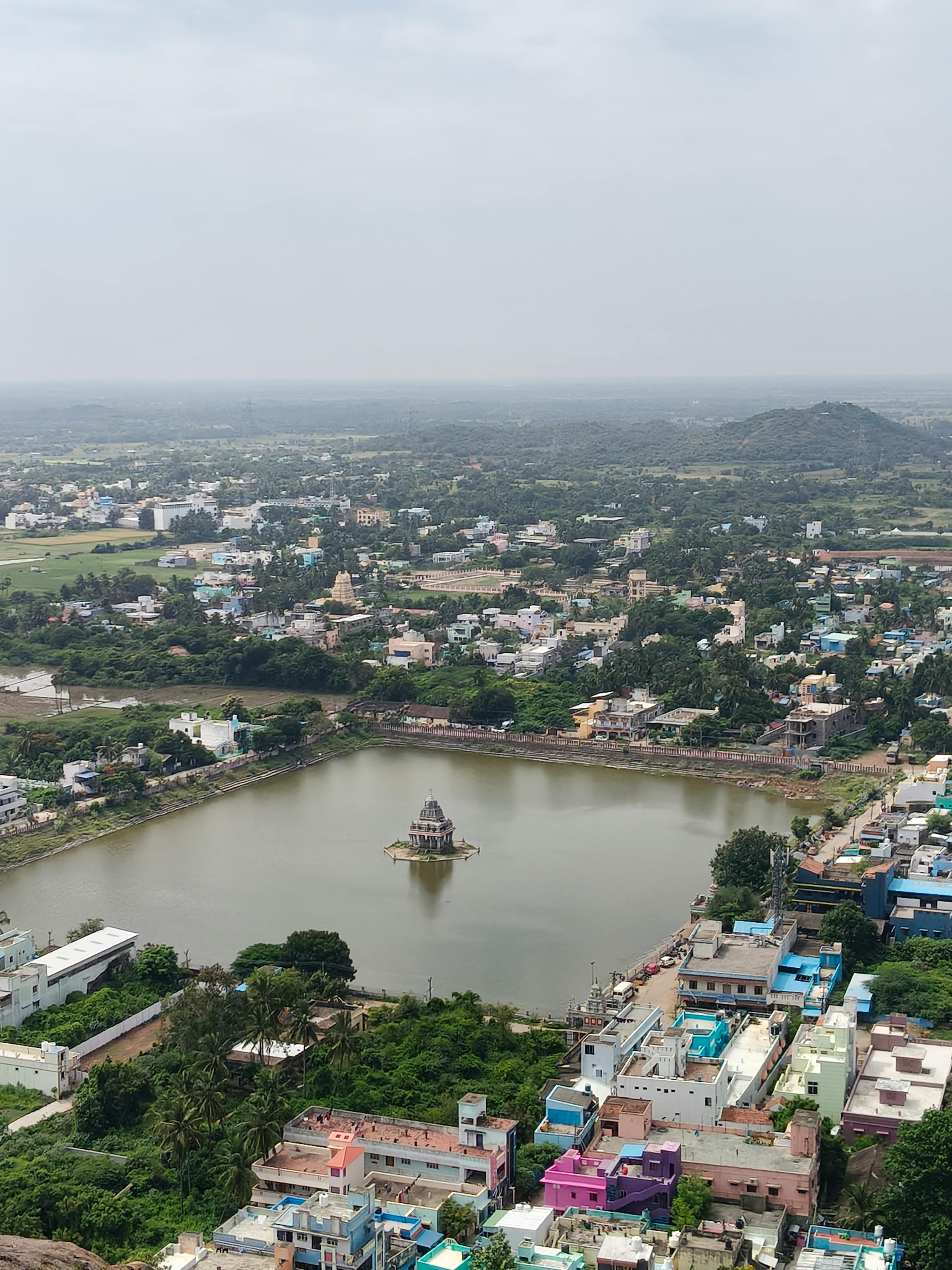 Aerial View Of Swans Photos, Download The BEST Free Aerial View Of ...