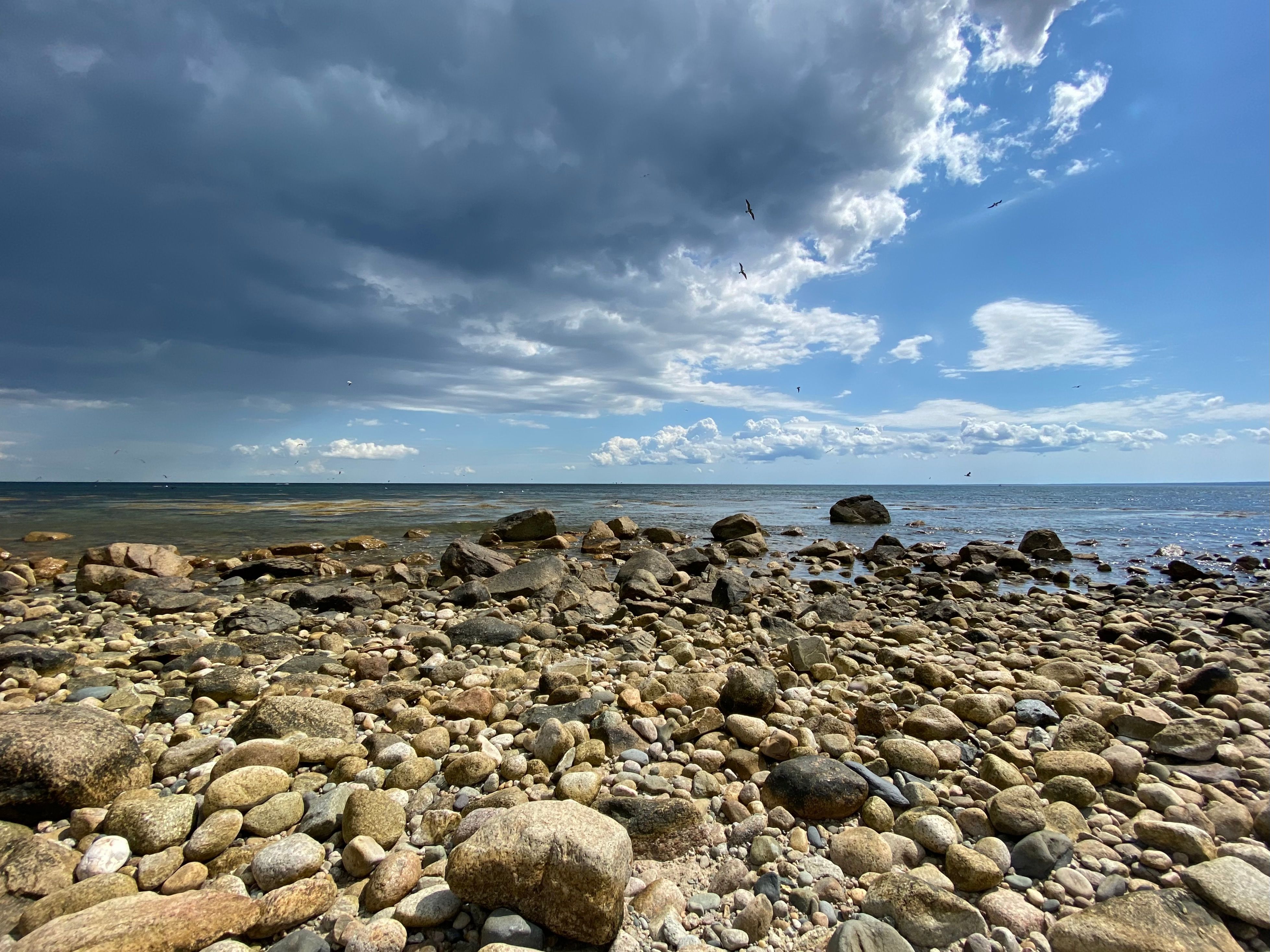 Dramatic Rocky Shoreline at Plymouth, MA · Free Stock Photo