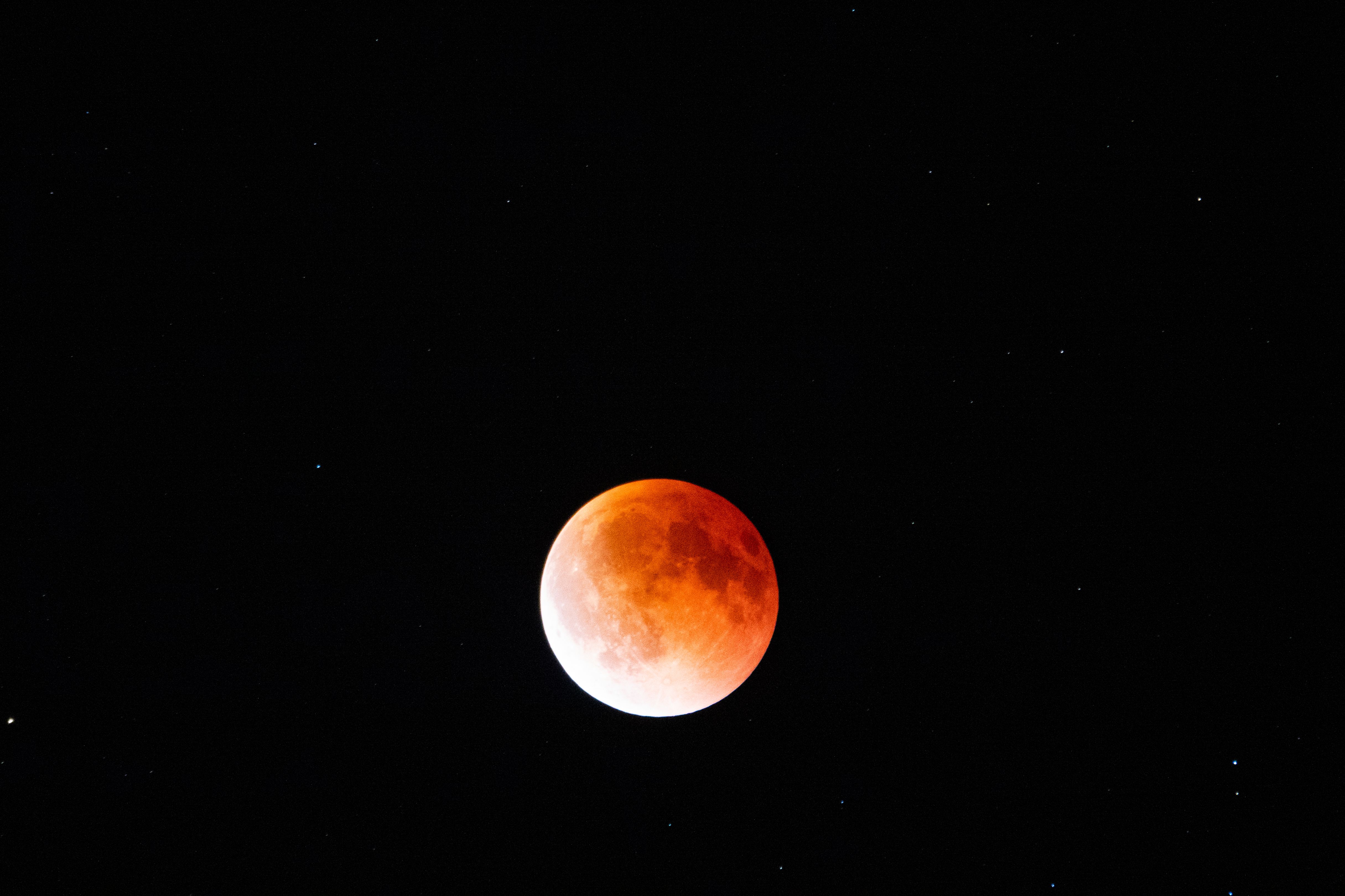 Lunar Eclipse Captured in a Starry Night Sky · Free Stock Photo