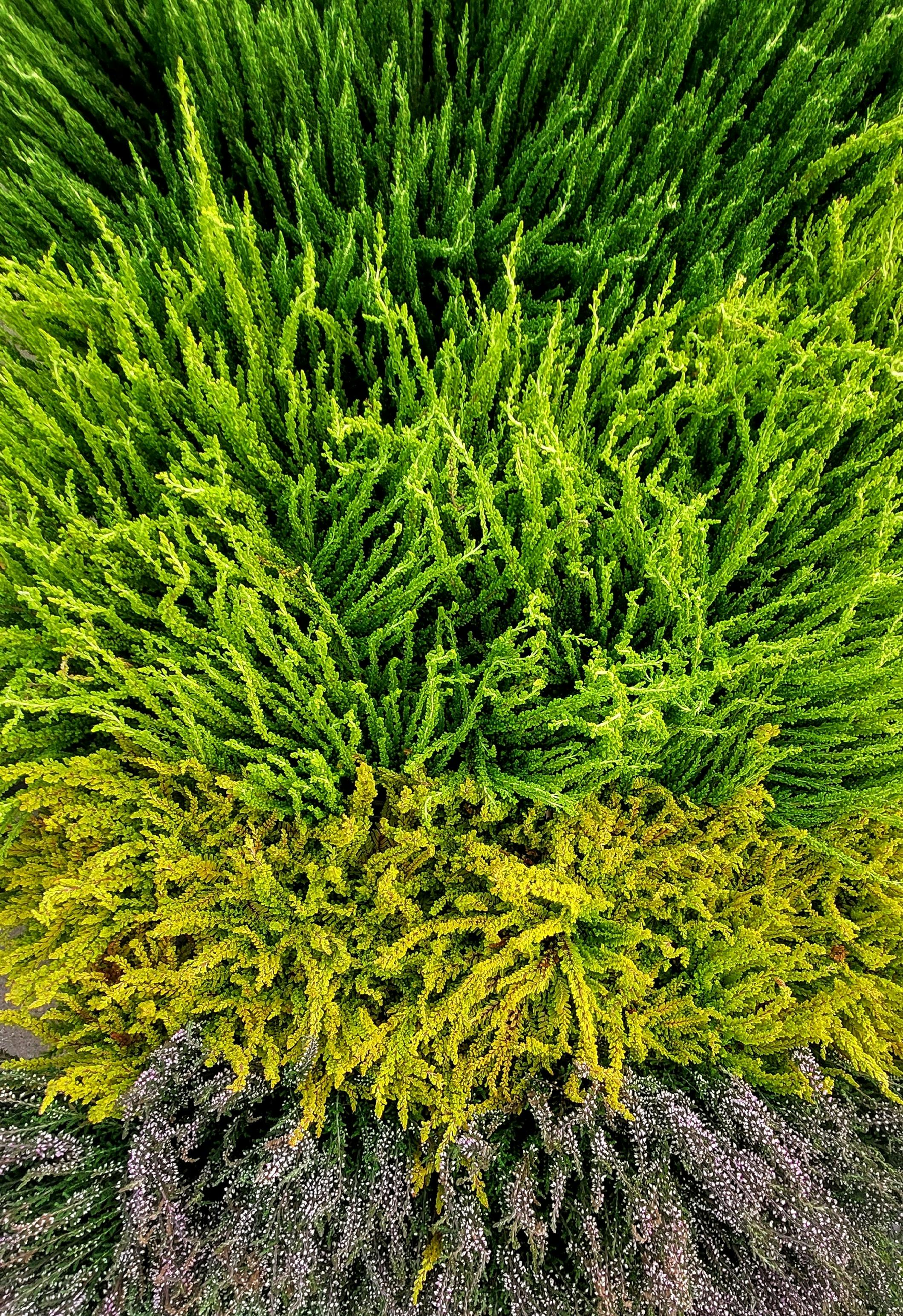 28.253+ Fotos y Imágenes de Lilo y stich Gratis · Banco de Fotos Gratis