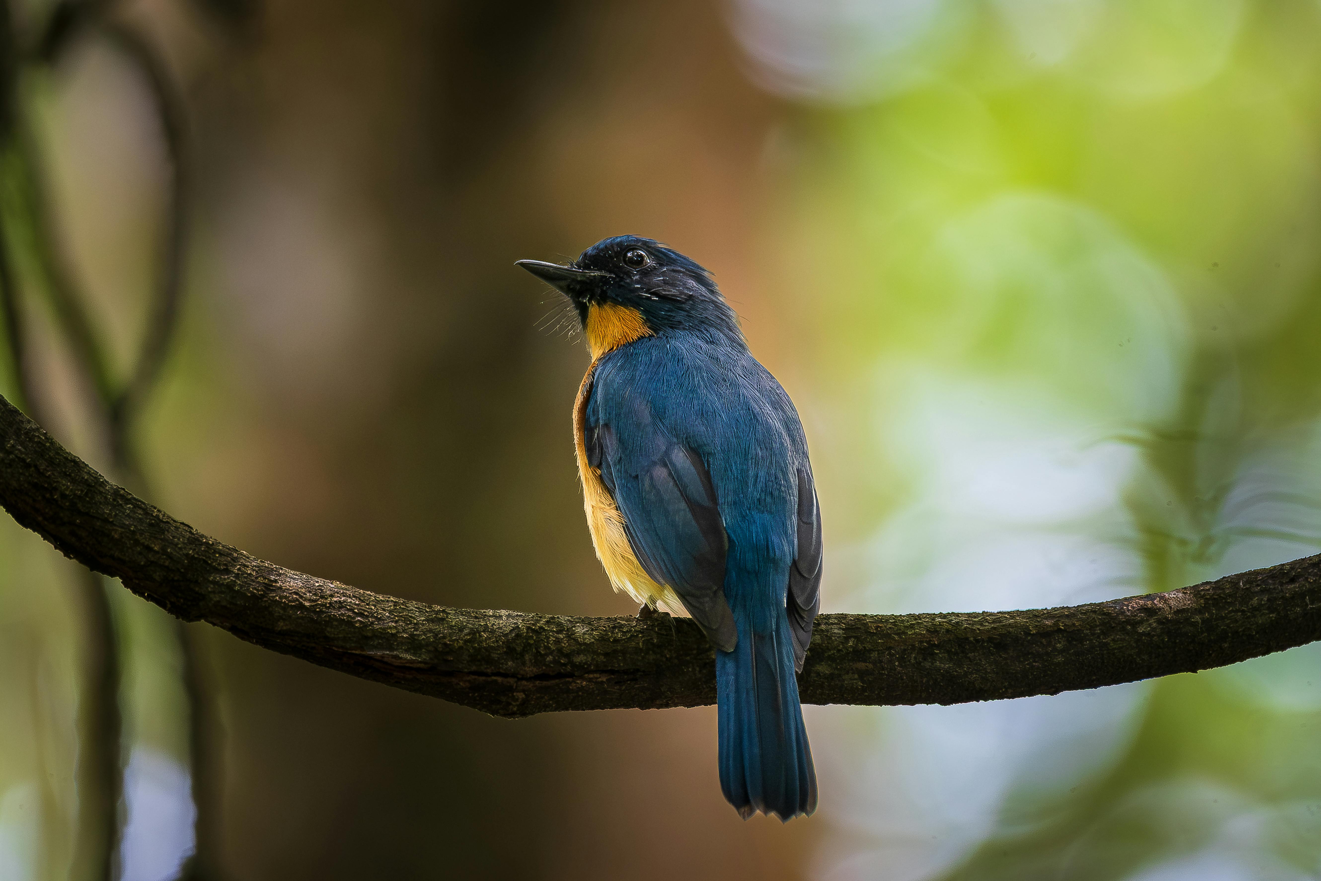 Breast+Reveal+Gifs Photos, Download The BEST Free Breast+Reveal+Gifs ...