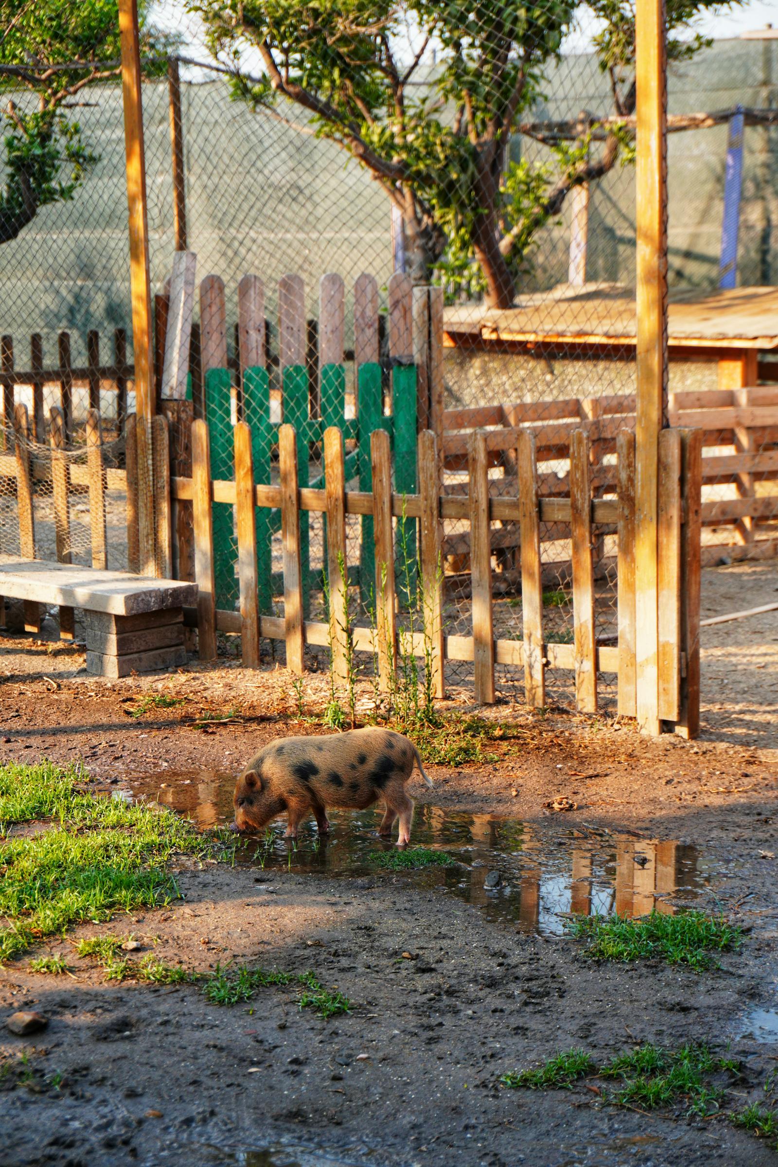 Indian+Cute+Pundai Photos, Download The BEST Free Indian+Cute+Pundai ...