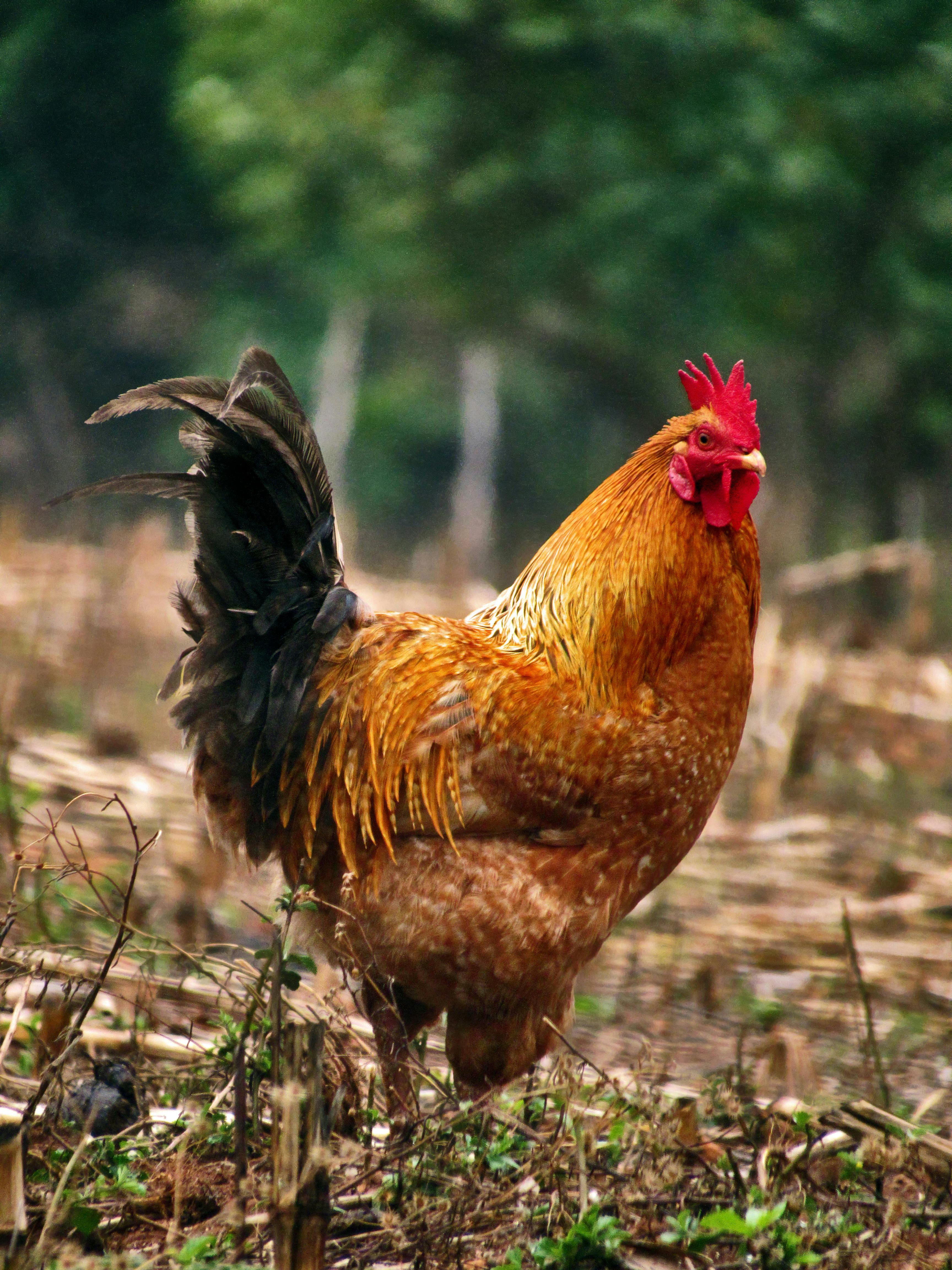 Motivational With Anime Photos, Download The BEST Free Motivational ...