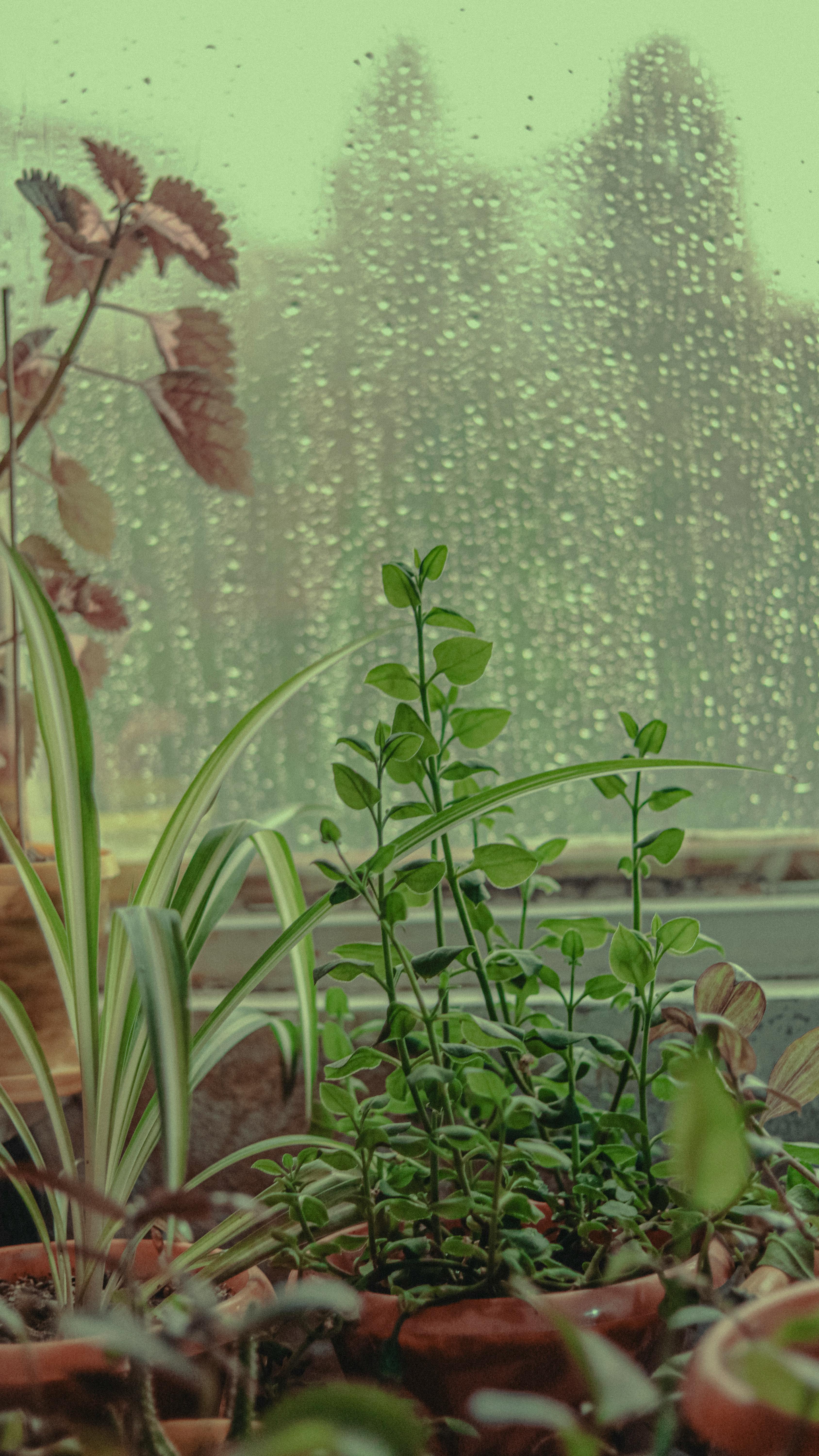 5mb Photo Photos, Download The BEST Free 5mb Photo Stock Photos & HD Images