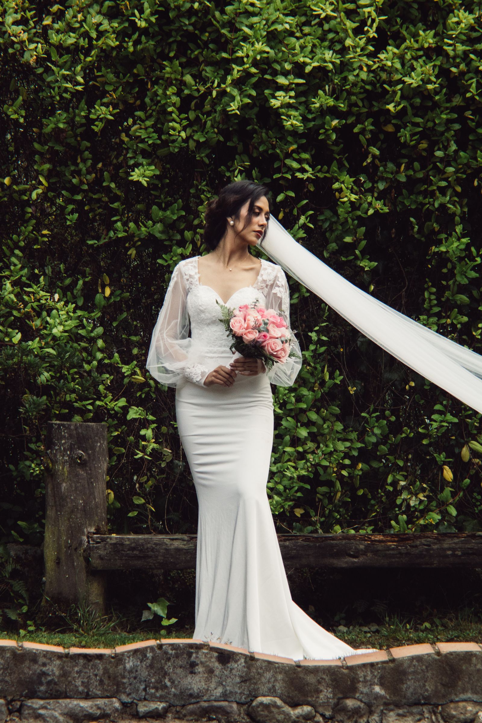 Beautiful Bride Photos, Download The BEST Free Beautiful Bride Stock ...