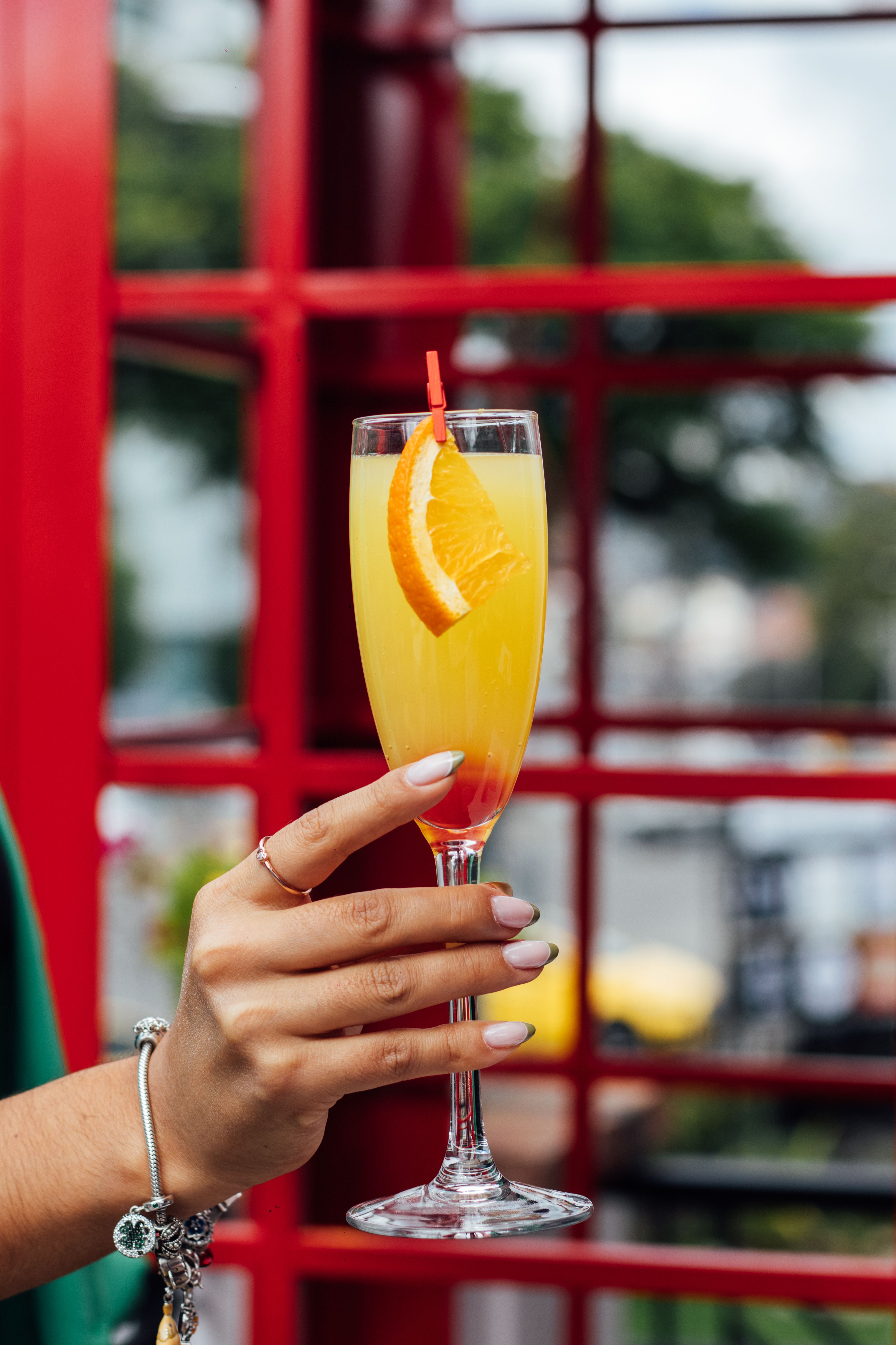 Colorful Cocktail Photos, Download The BEST Free Colorful Cocktail ...