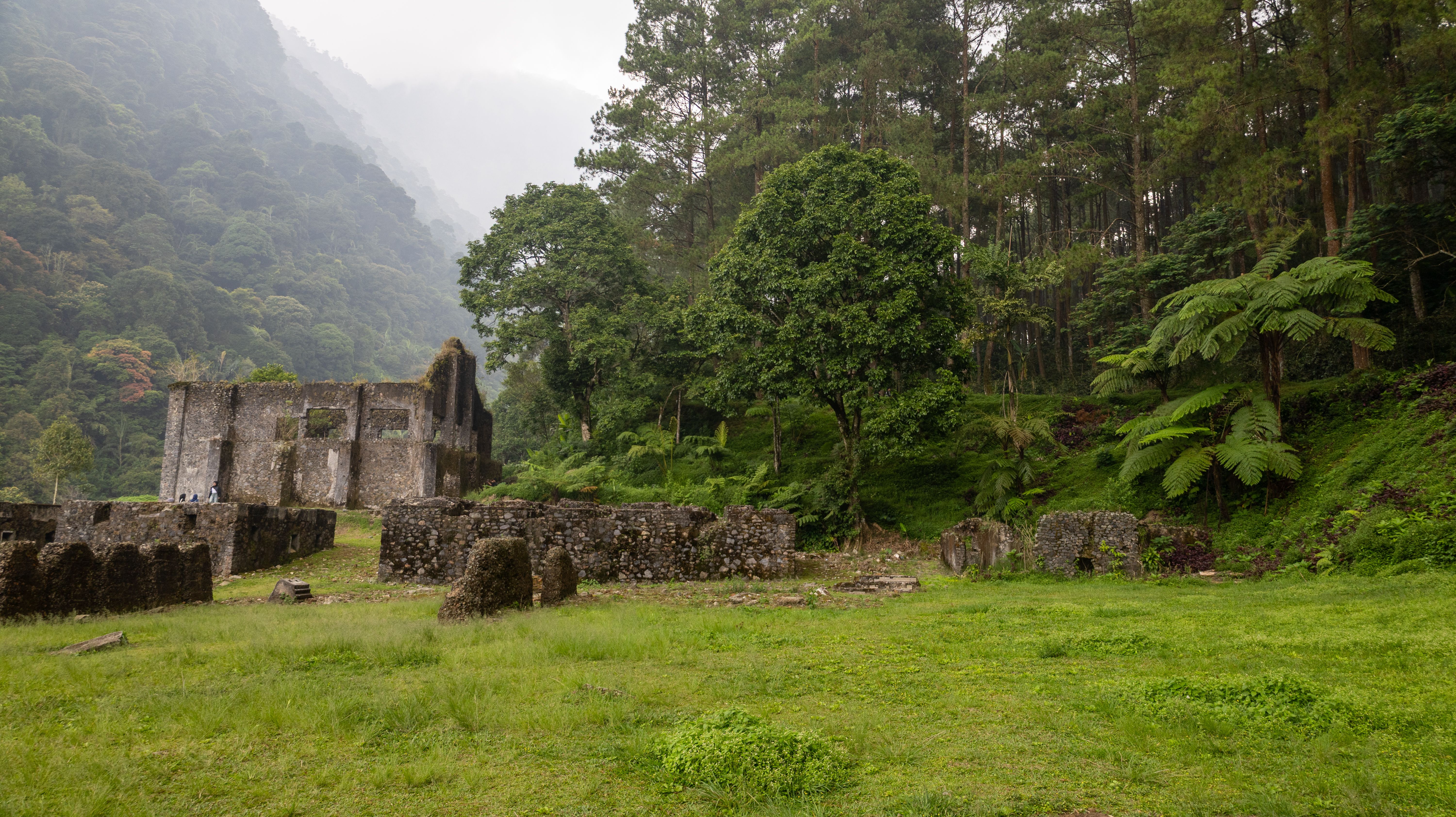 Historic Ruins in Lush Forest, West Java · Free Stock Photo