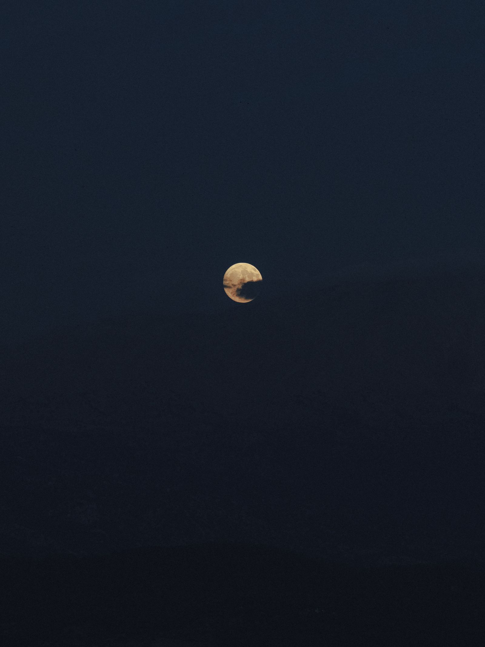 512 X 512 Photos, Download The BEST Free 512 X 512 Stock Photos & HD Images