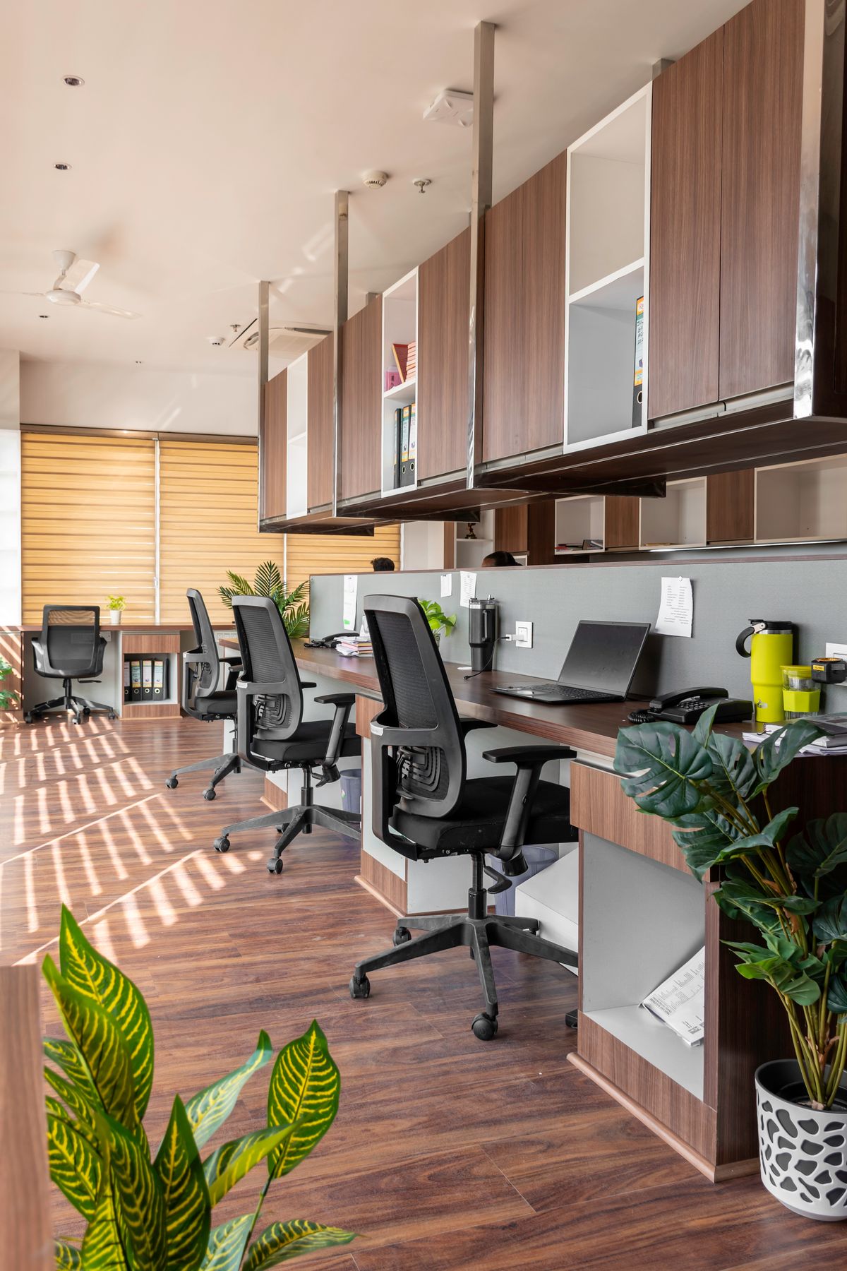 Office Decor Photos, Download The BEST Free Office Decor Stock Photos ...
