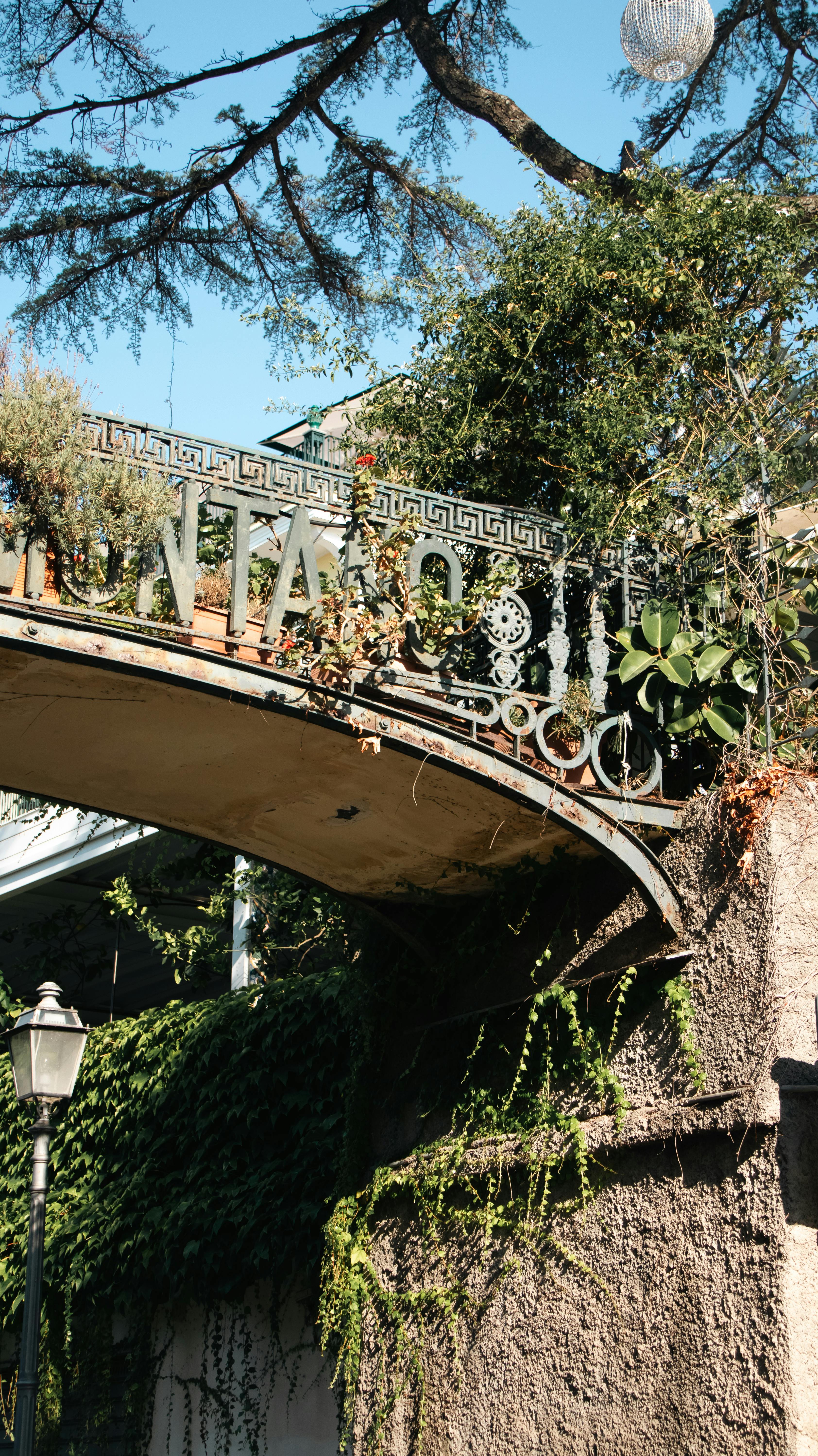 Italian Brainrot Photos, Download The BEST Free Italian Brainrot Stock ...