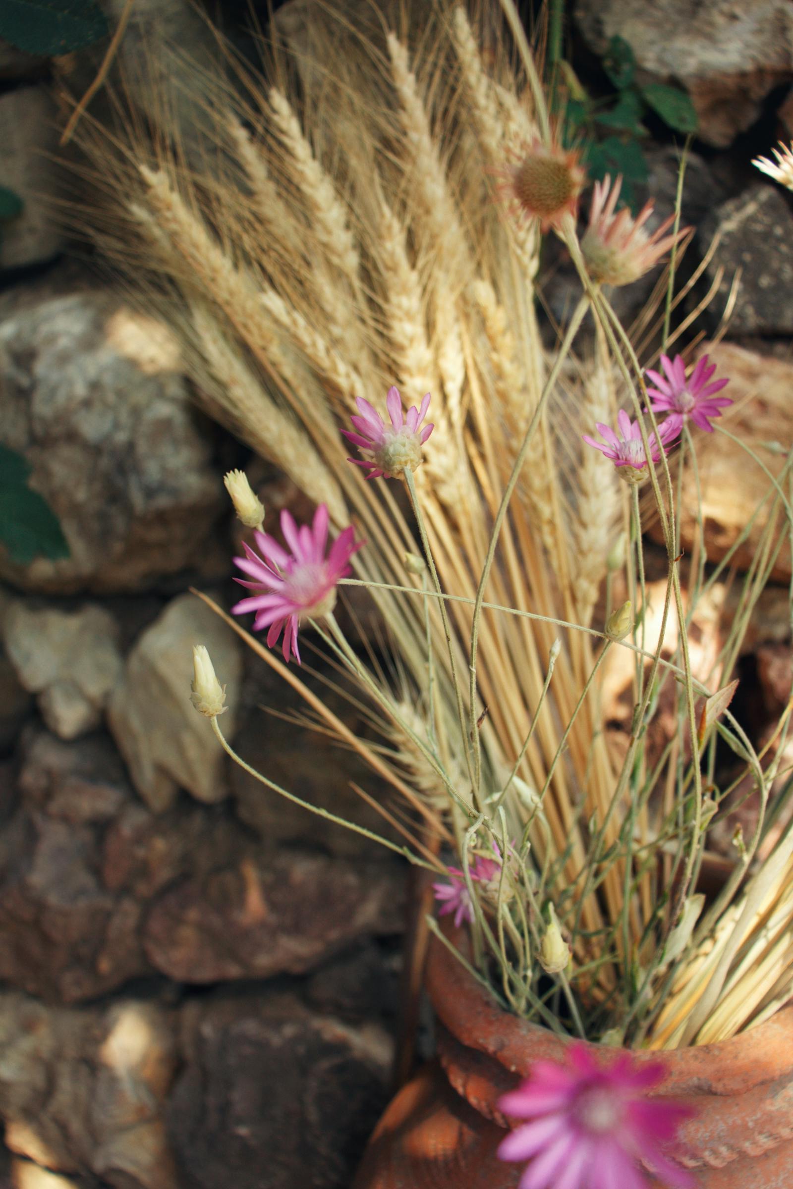 Simple Landscape Photos, Download The BEST Free Simple Landscape Stock ...