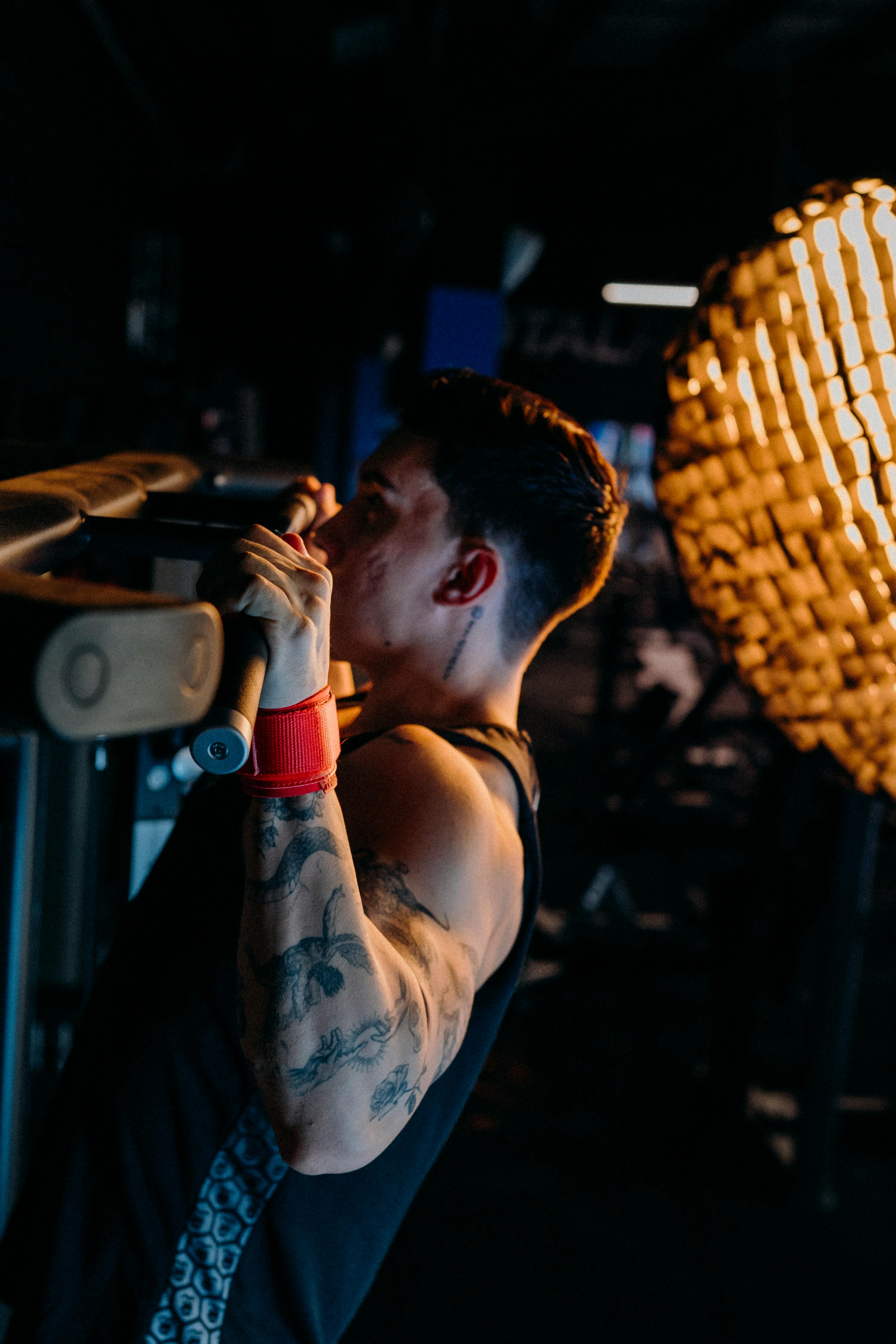 Skeletal Muscle Photos, Download The BEST Free Skeletal Muscle Stock ...