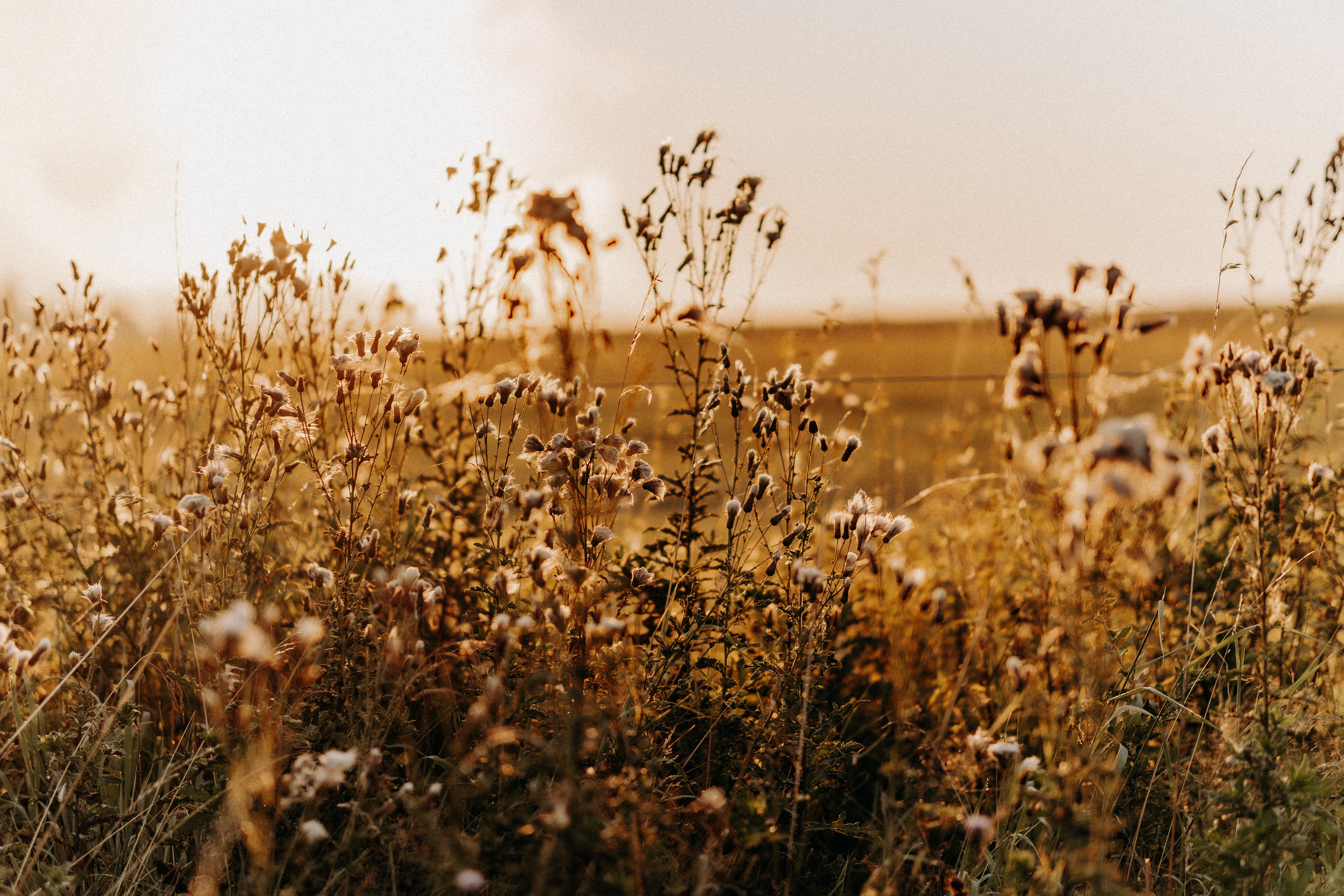 Country Landscape Photos, Download The BEST Free Country Landscape ...