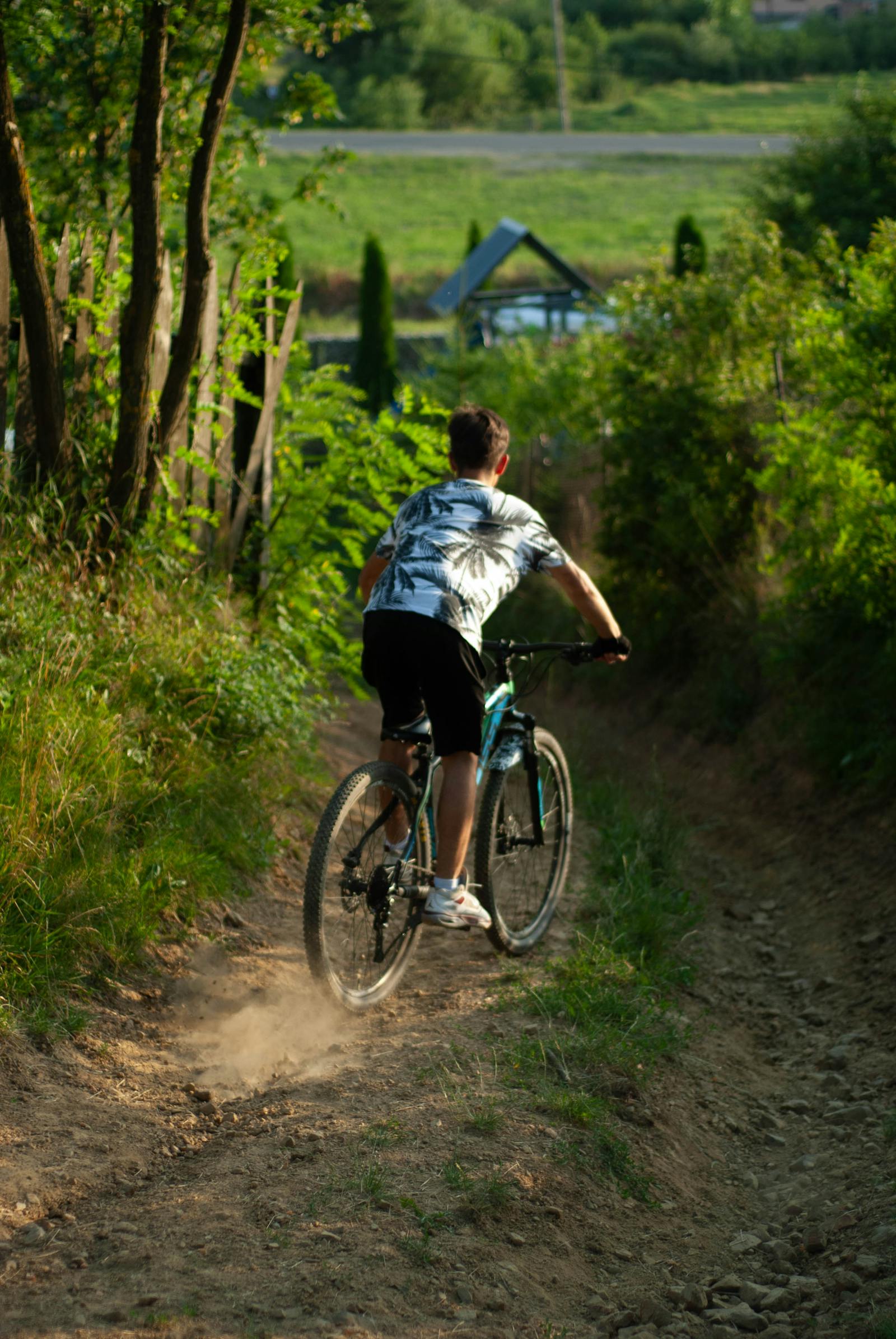 Romania Photos, Download The BEST Free Romania Stock Photos & HD Images