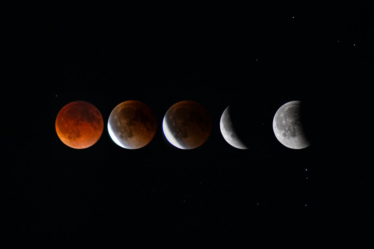 Moon Pfp Photos, Download The BEST Free Moon Pfp Stock Photos & HD Images