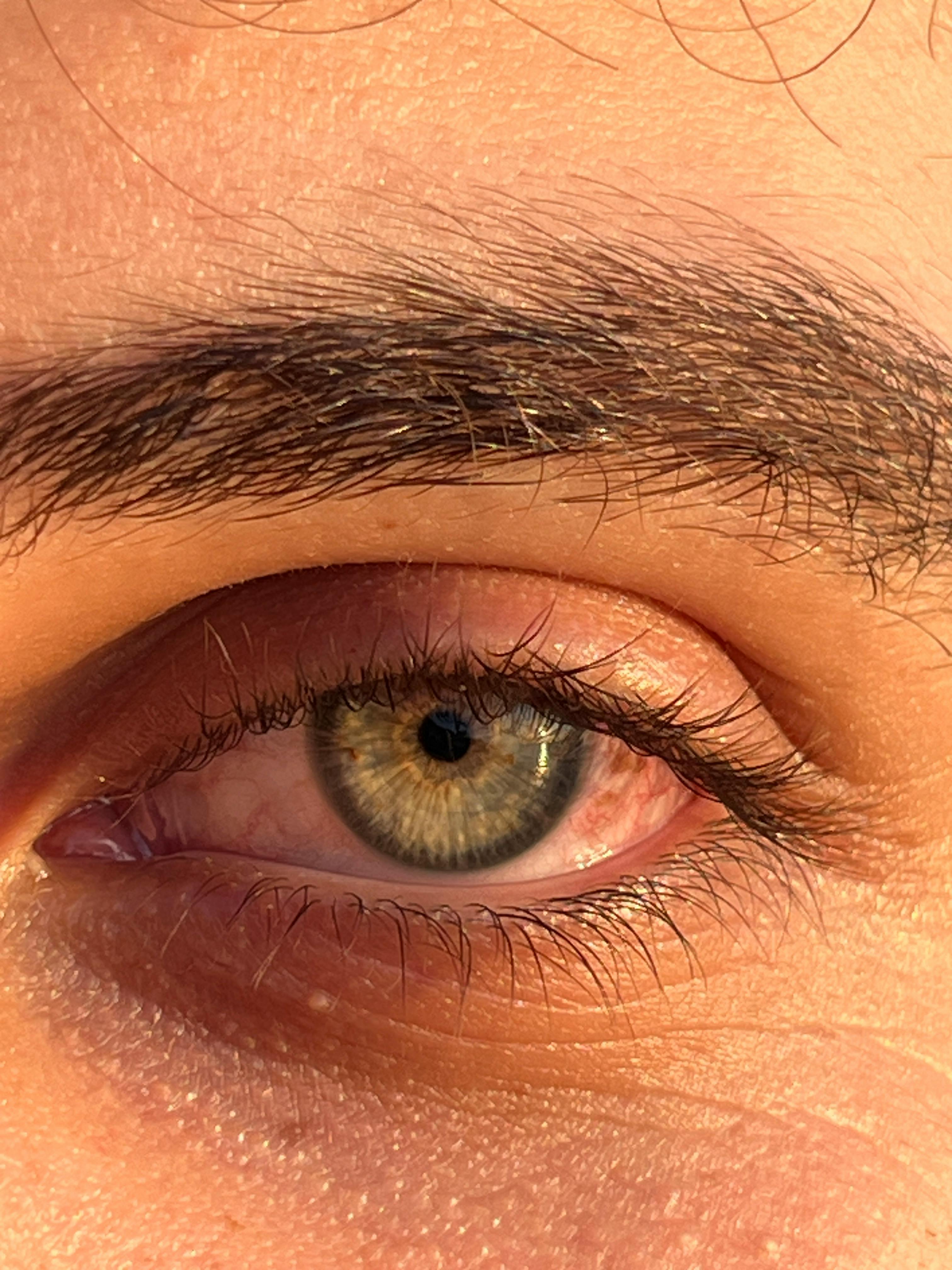 Ent Anatomy Photos, Download The BEST Free Ent Anatomy Stock Photos ...