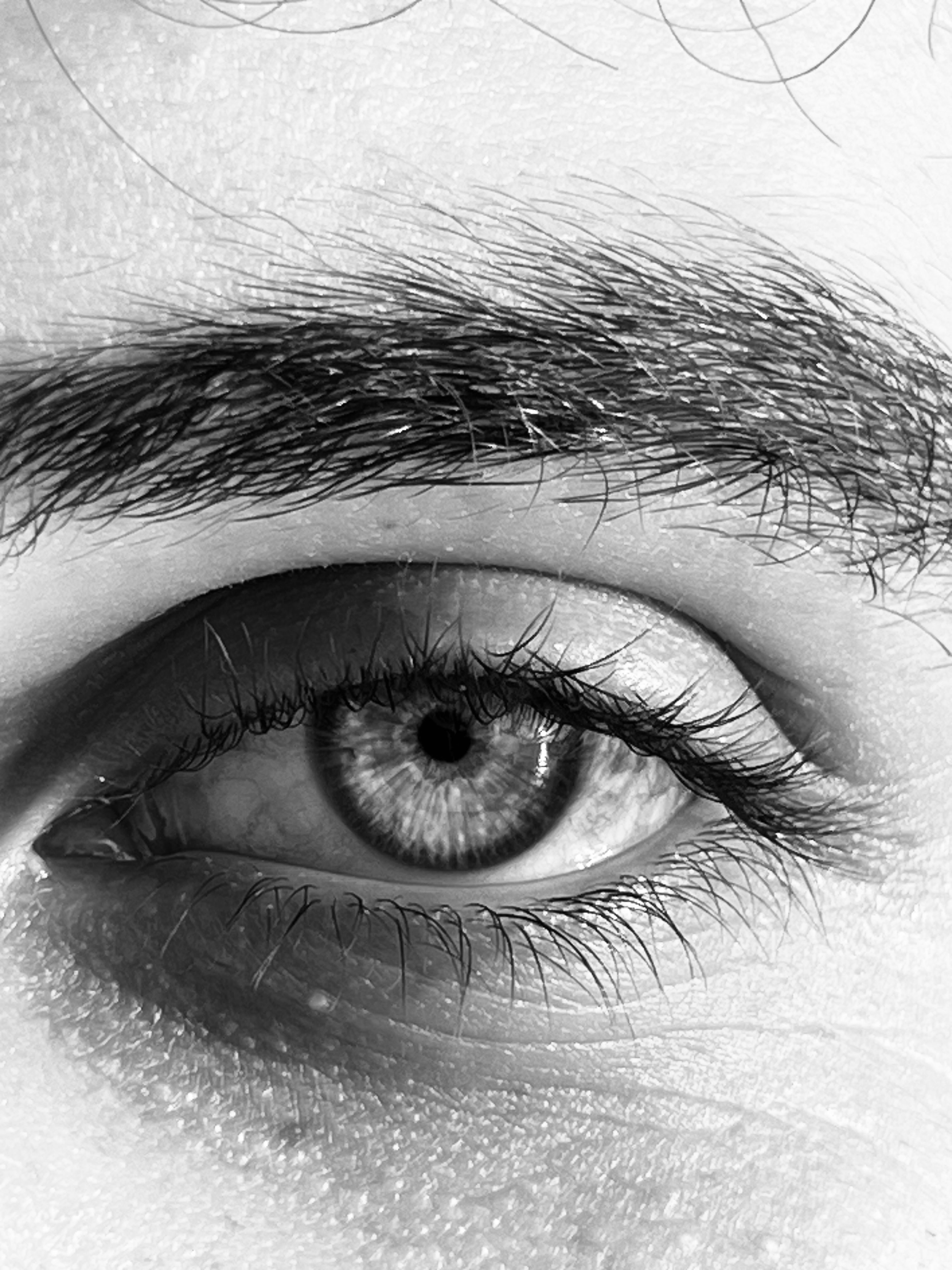 Human Eye Photos, Download The BEST Free Human Eye Stock Photos & HD Images