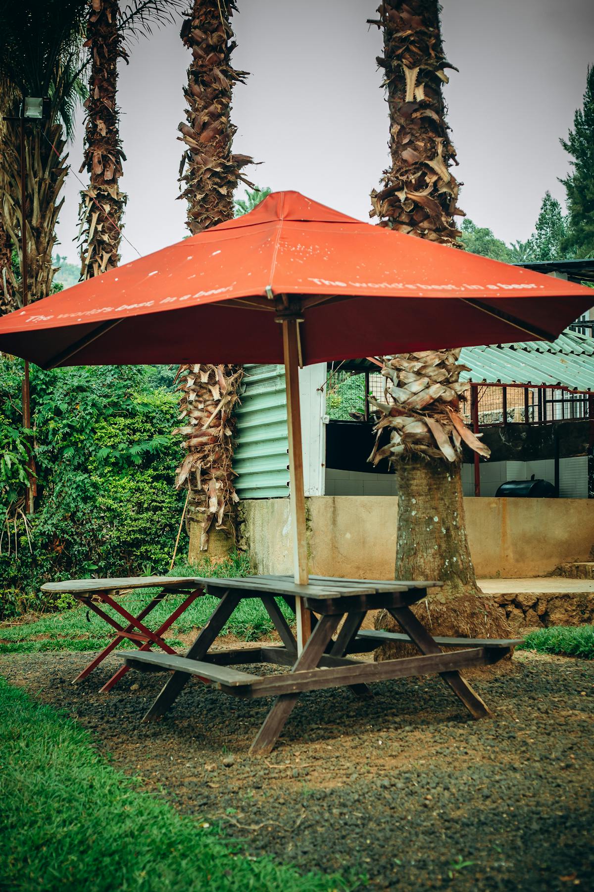 Family Picnic Photos, Download The BEST Free Family Picnic Stock Photos ...