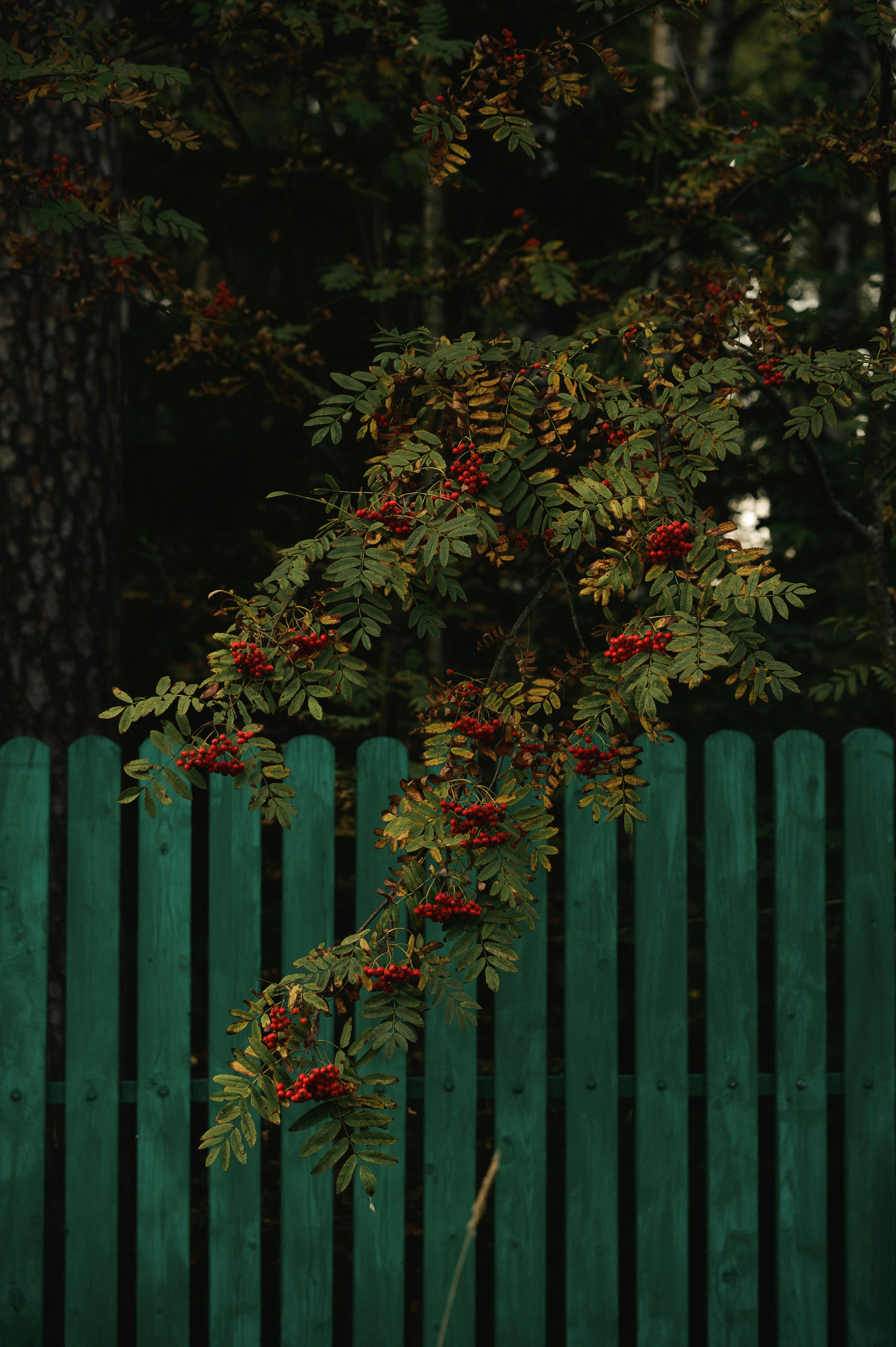 Dark Scenery Photos, Download The BEST Free Dark Scenery Stock Photos ...