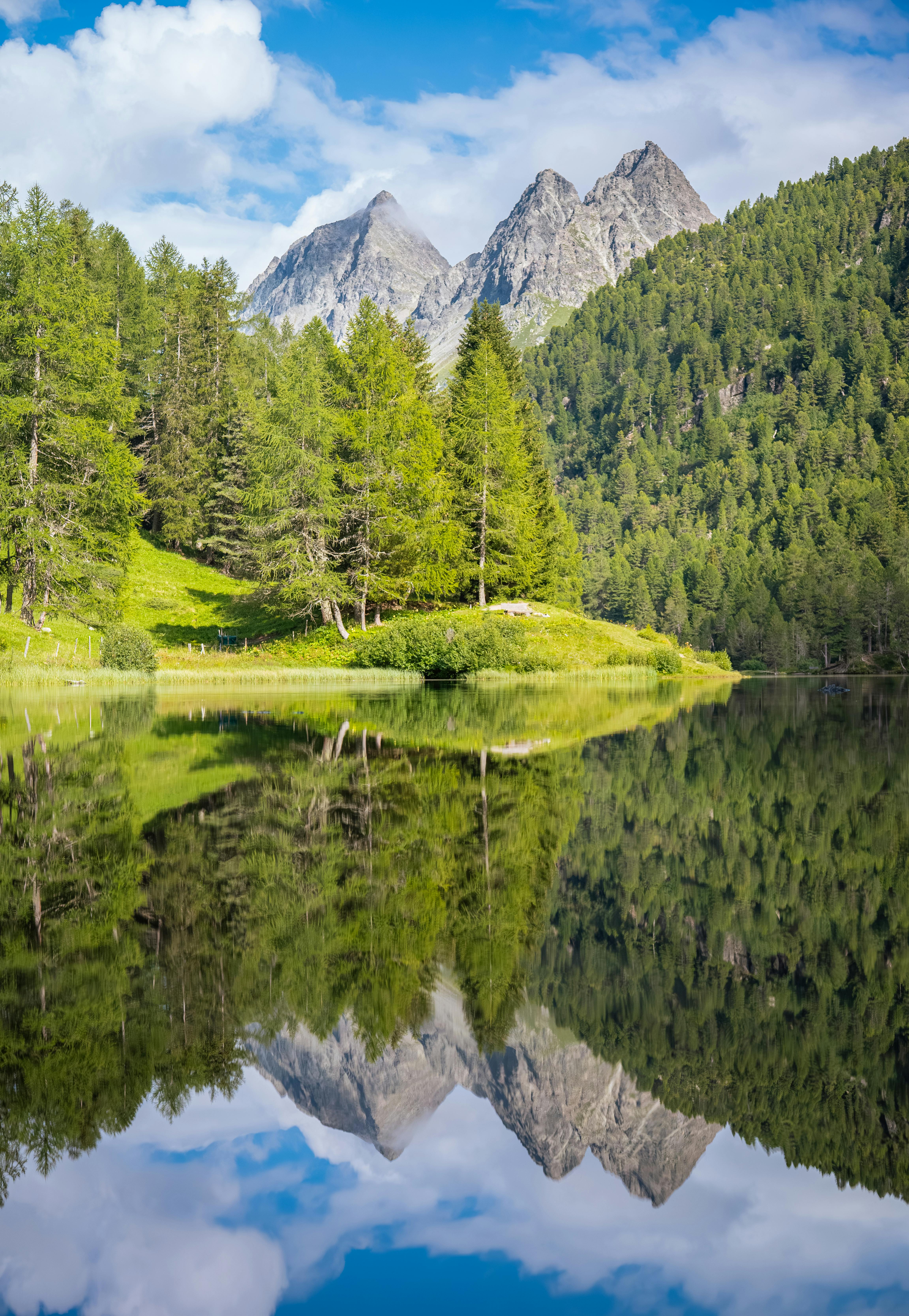 Environmental Conservation Photos, Download The BEST Free Environmental ...