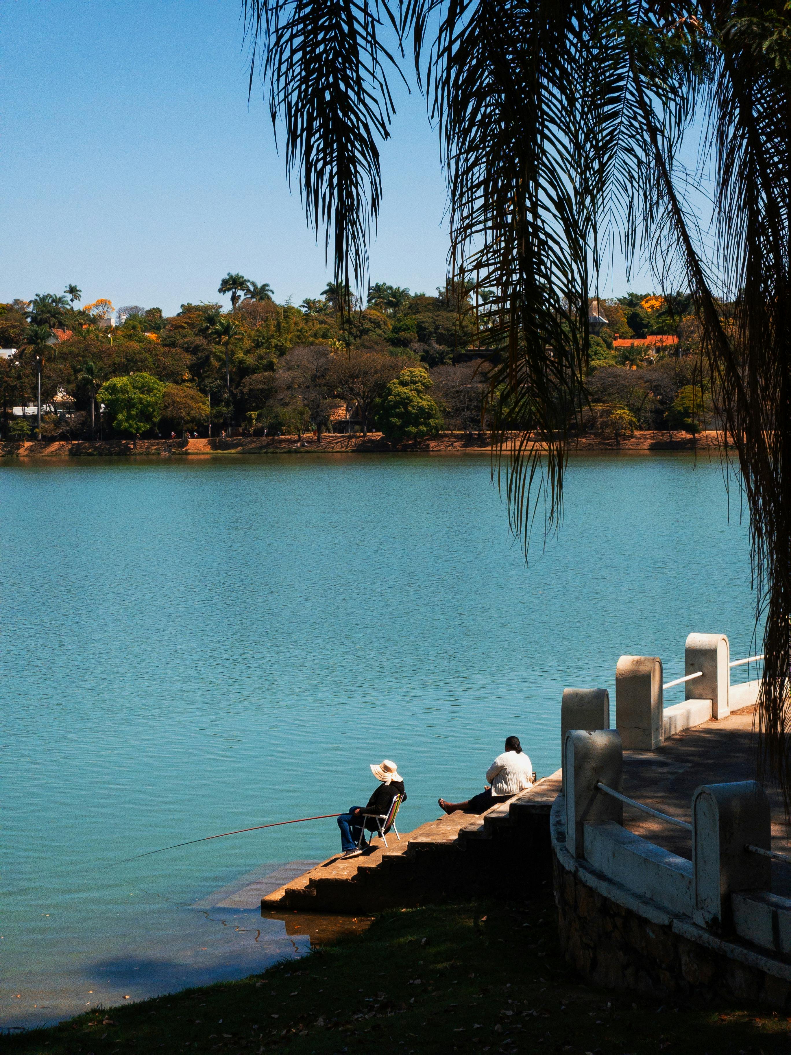 Brazilian+Bodybuilder Photos, Download The BEST Free Brazilian ...