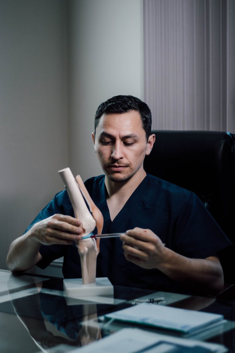 Human Anatomy Photos, Download The BEST Free Human Anatomy Stock Photos ...