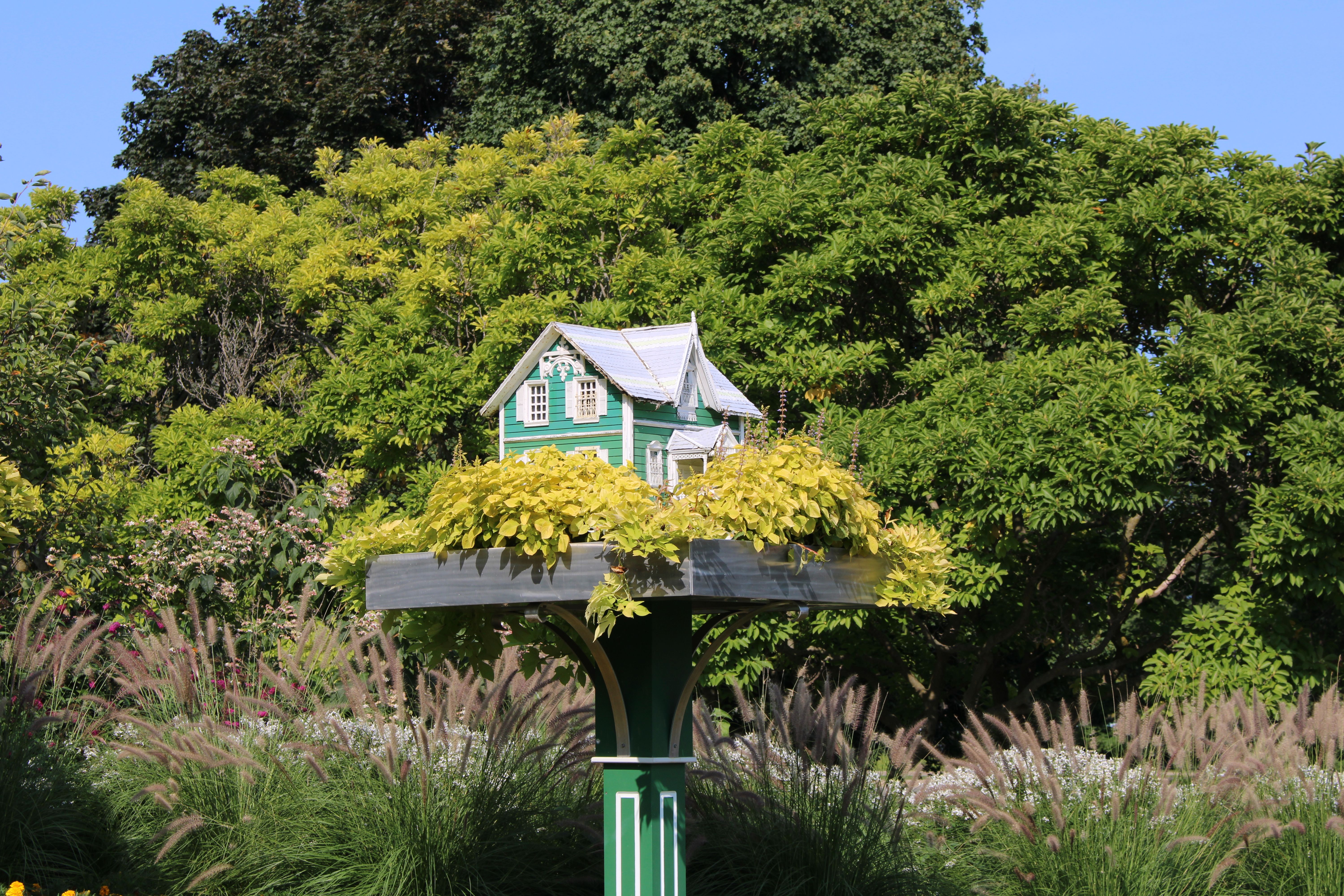Miniature Green House in Lush Garden Setting · Free Stock Photo